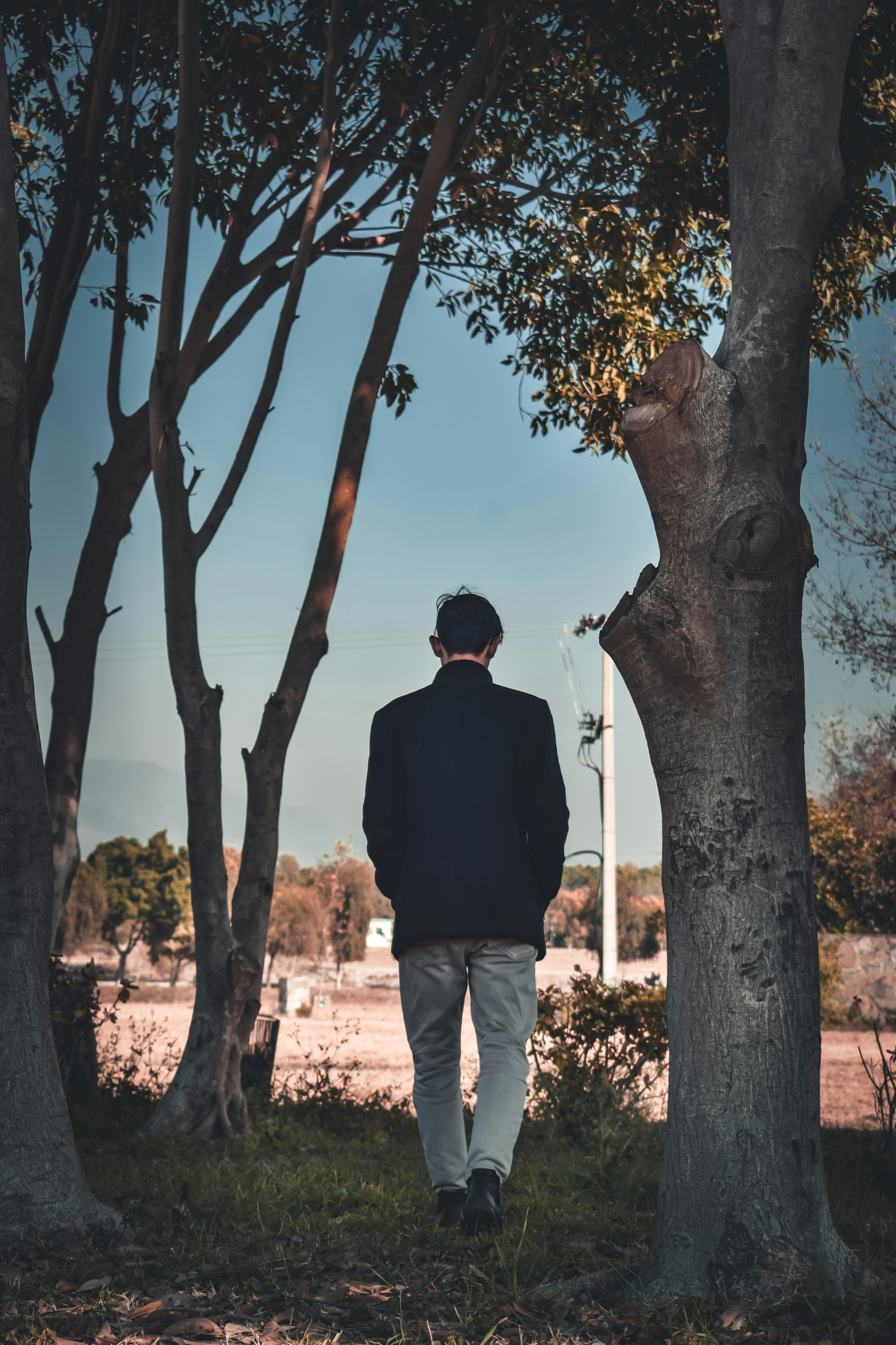 Solitary Departure: A blazer-wearing figure walks away through a sunlit tree-lined park