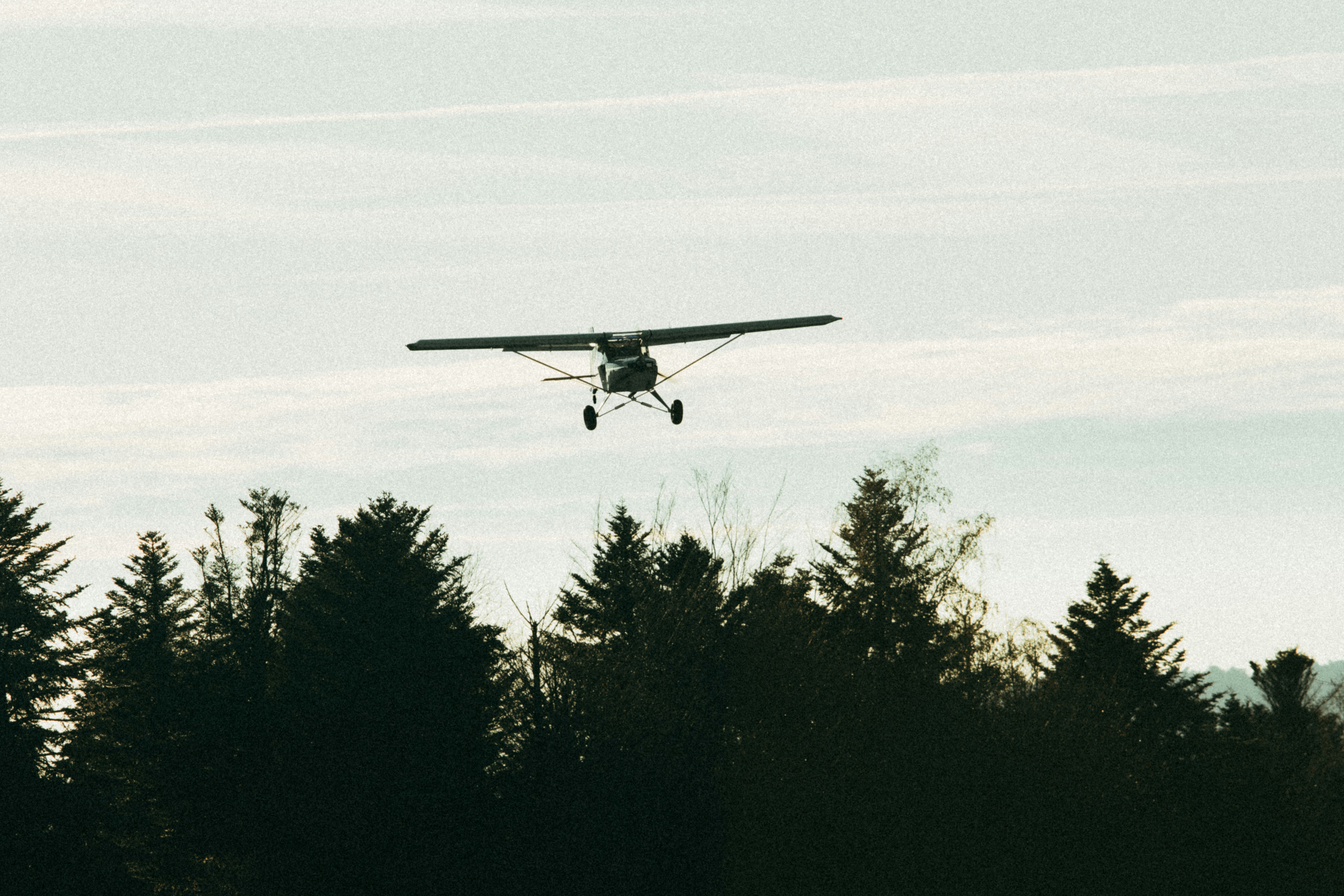 A small plane flying over a forest under a cloudy sky photo – Free ...