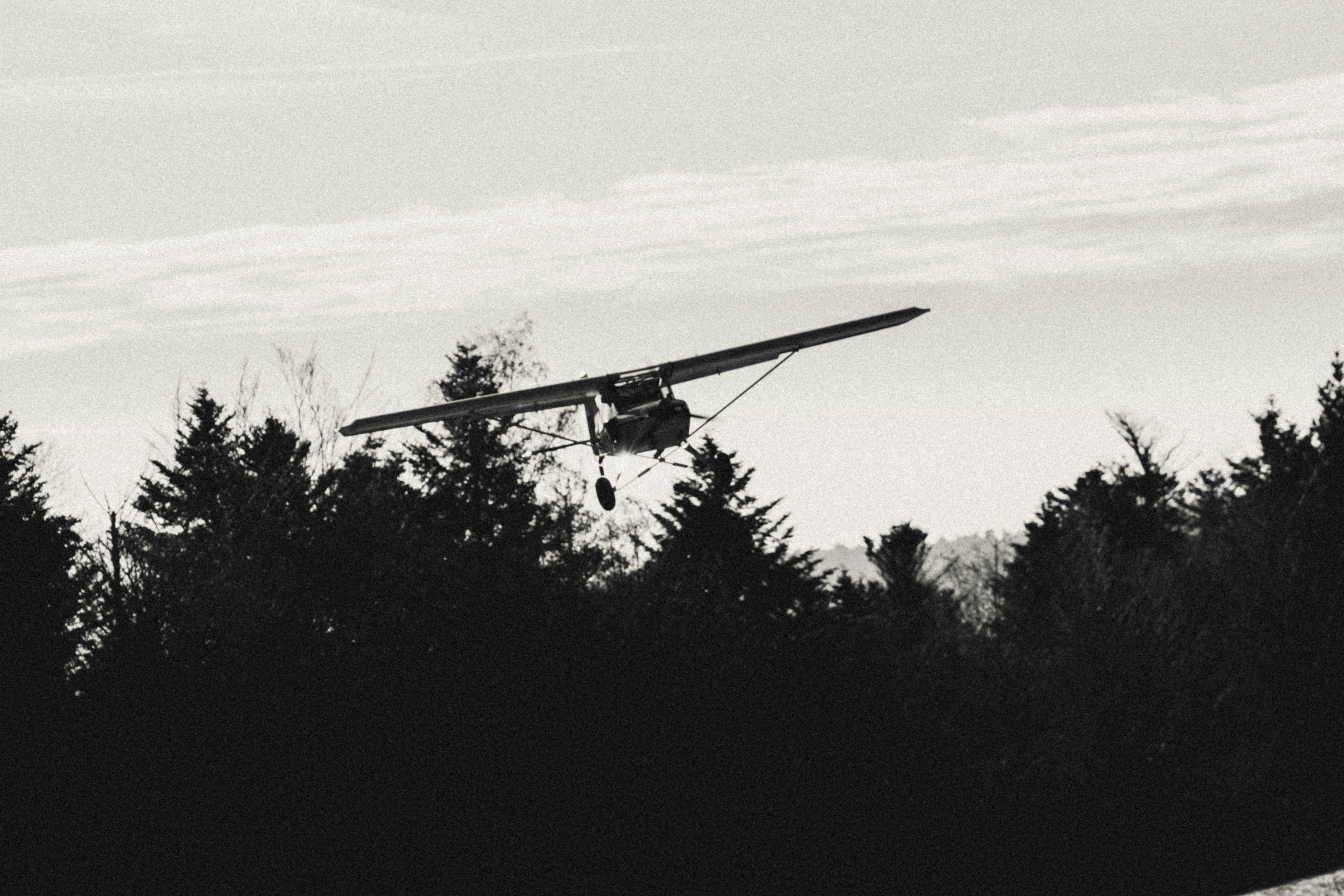A small airplane flying over a forest filled with trees photo – Free ...