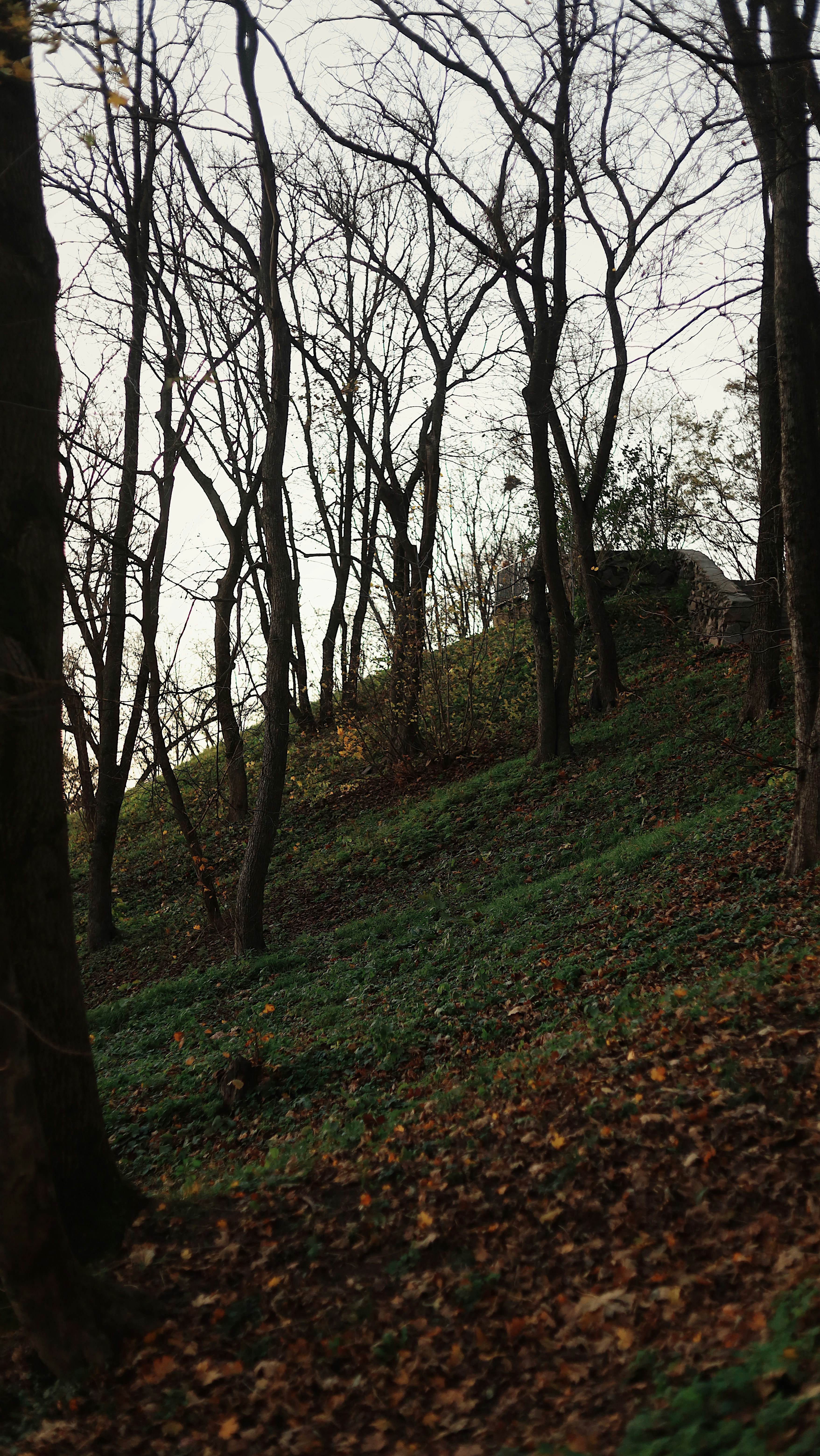 Photo by Roman Hnydin with Canon EOS RP