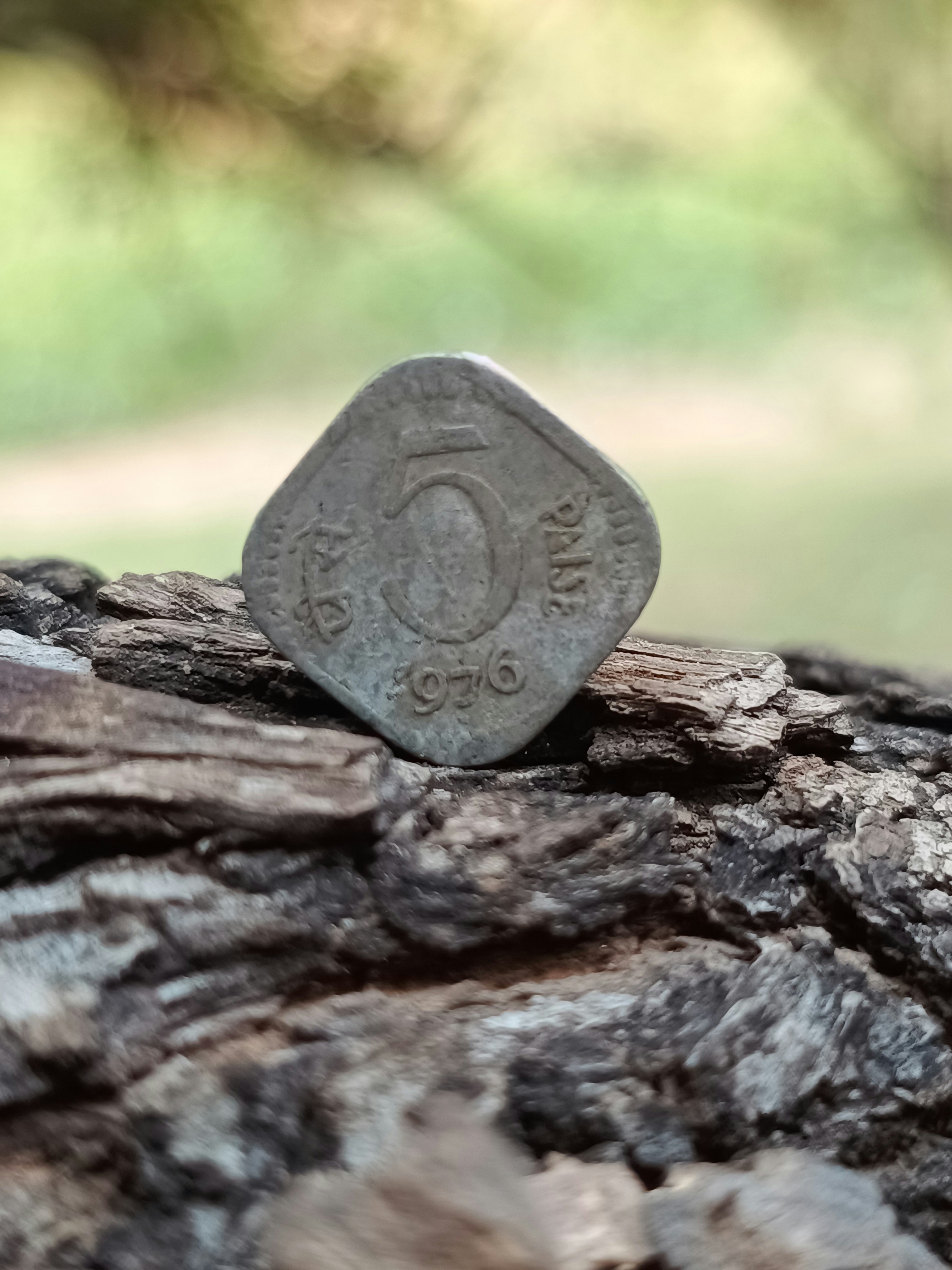 Coin in nature