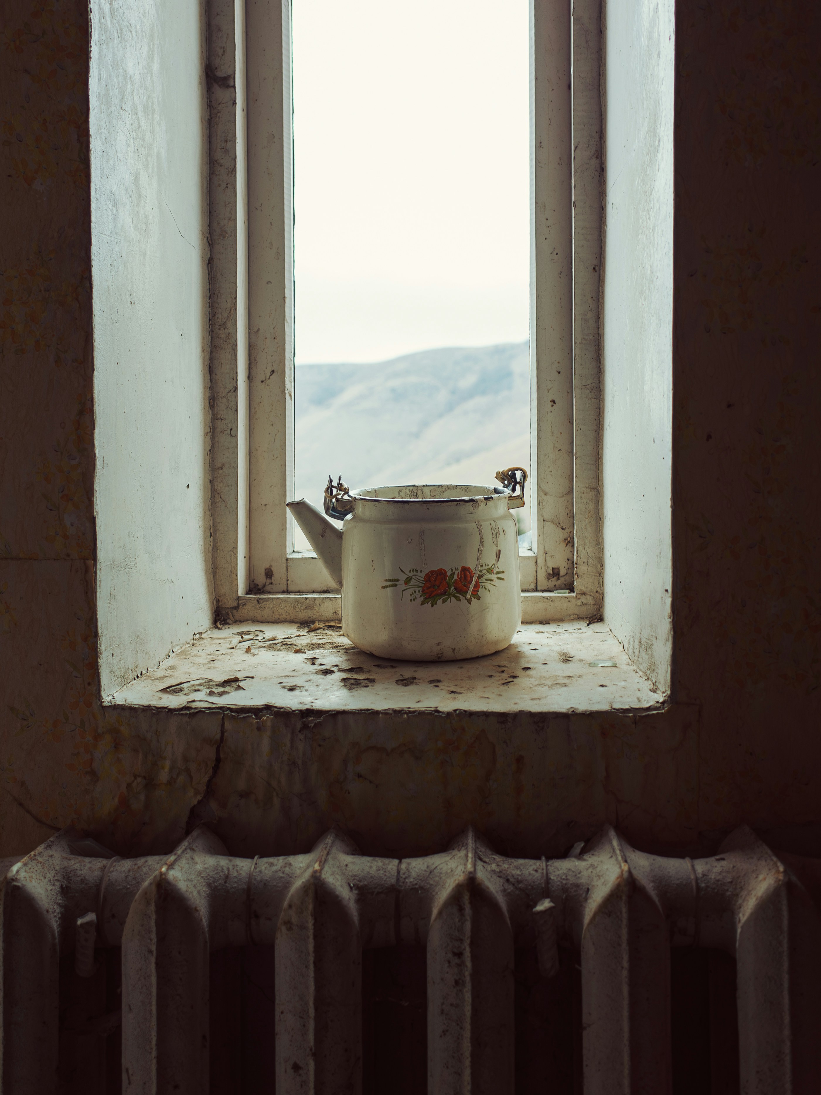 Floral Pot on a Weathered Windowsill Framing Distant Blue Hills