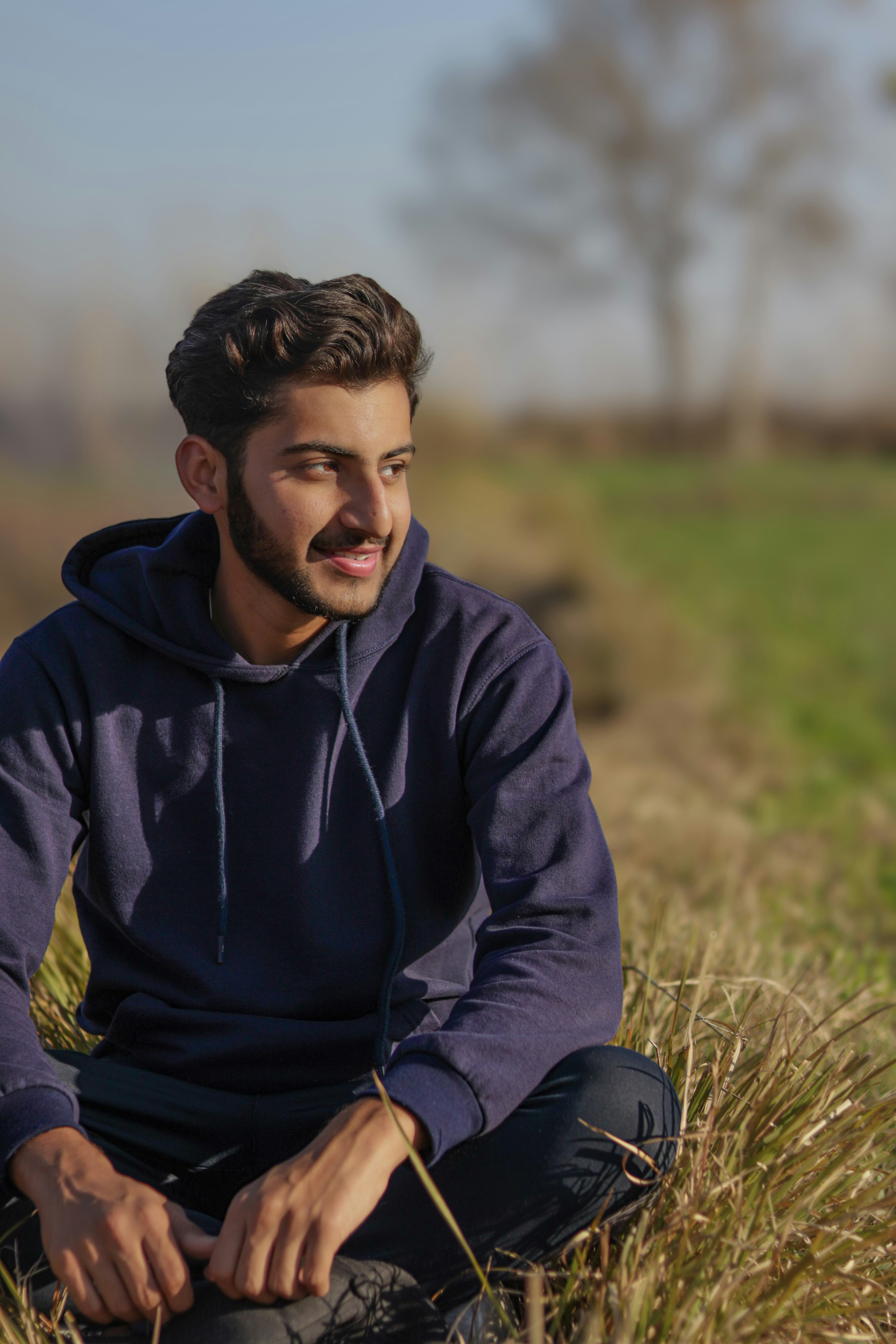 Fieldbound: A Quiet Portrait in Sunlit Grass