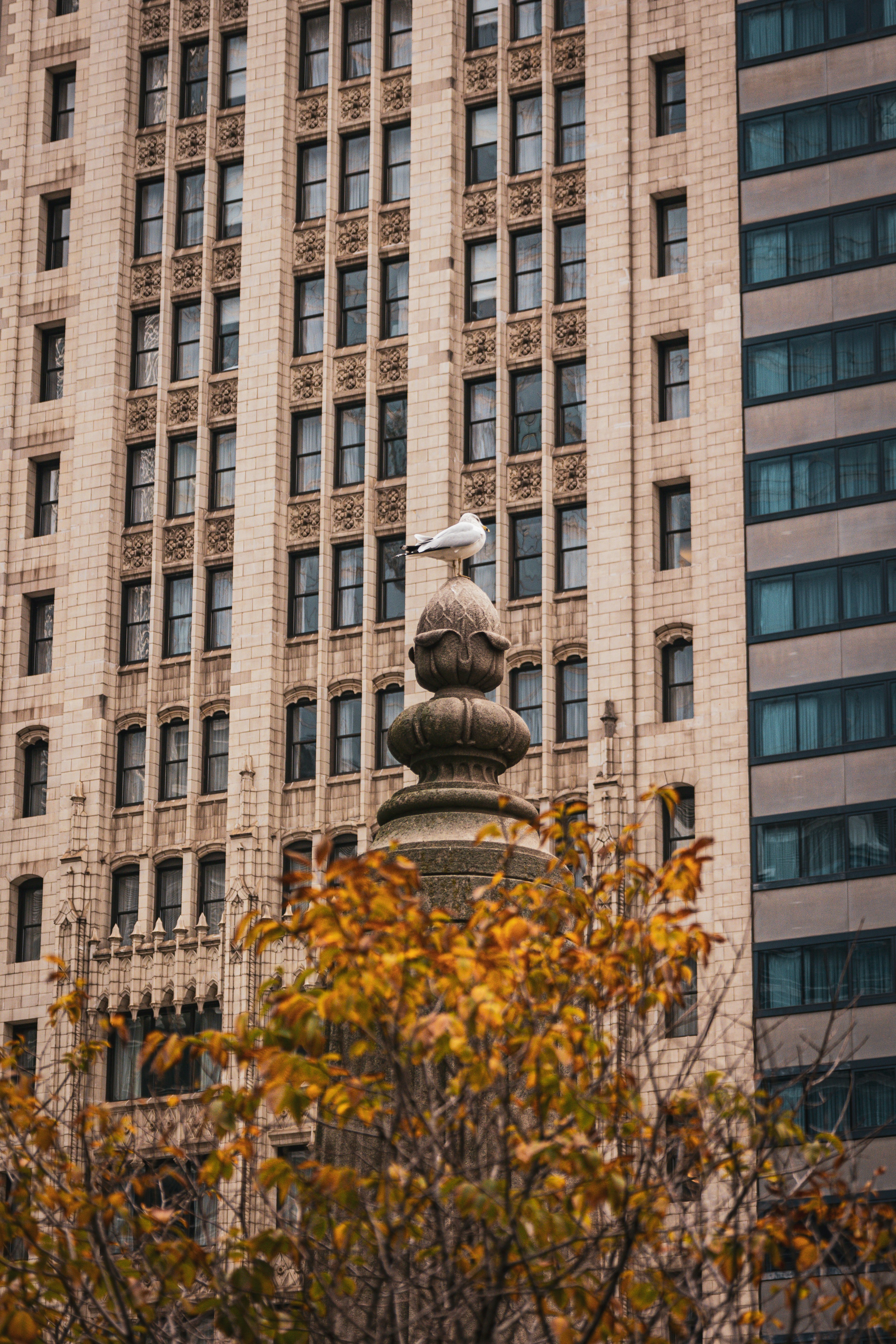 Photo by Joss Broward with Canon EOS R6