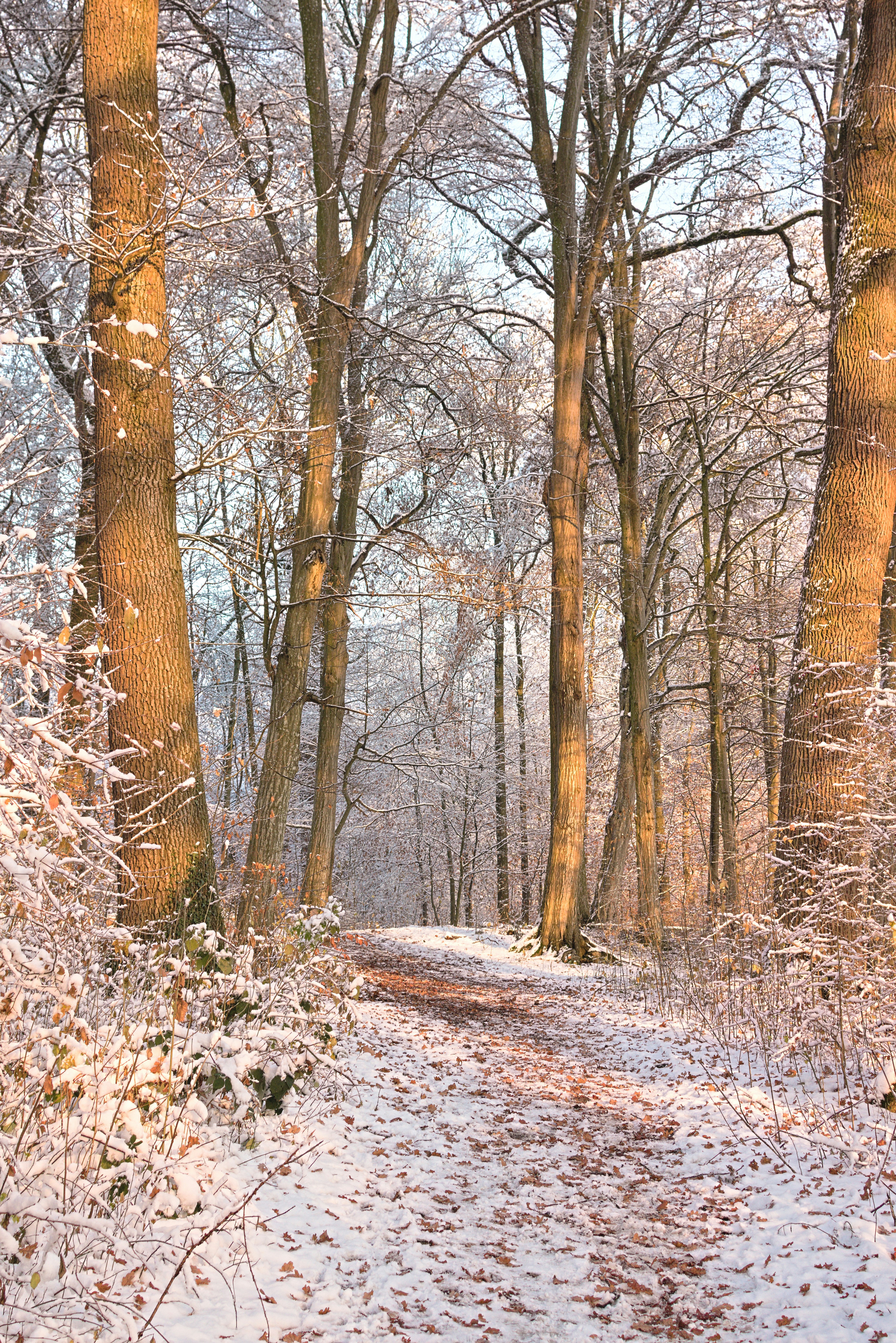 Photo by Marc Rentschler with Nikon D3400