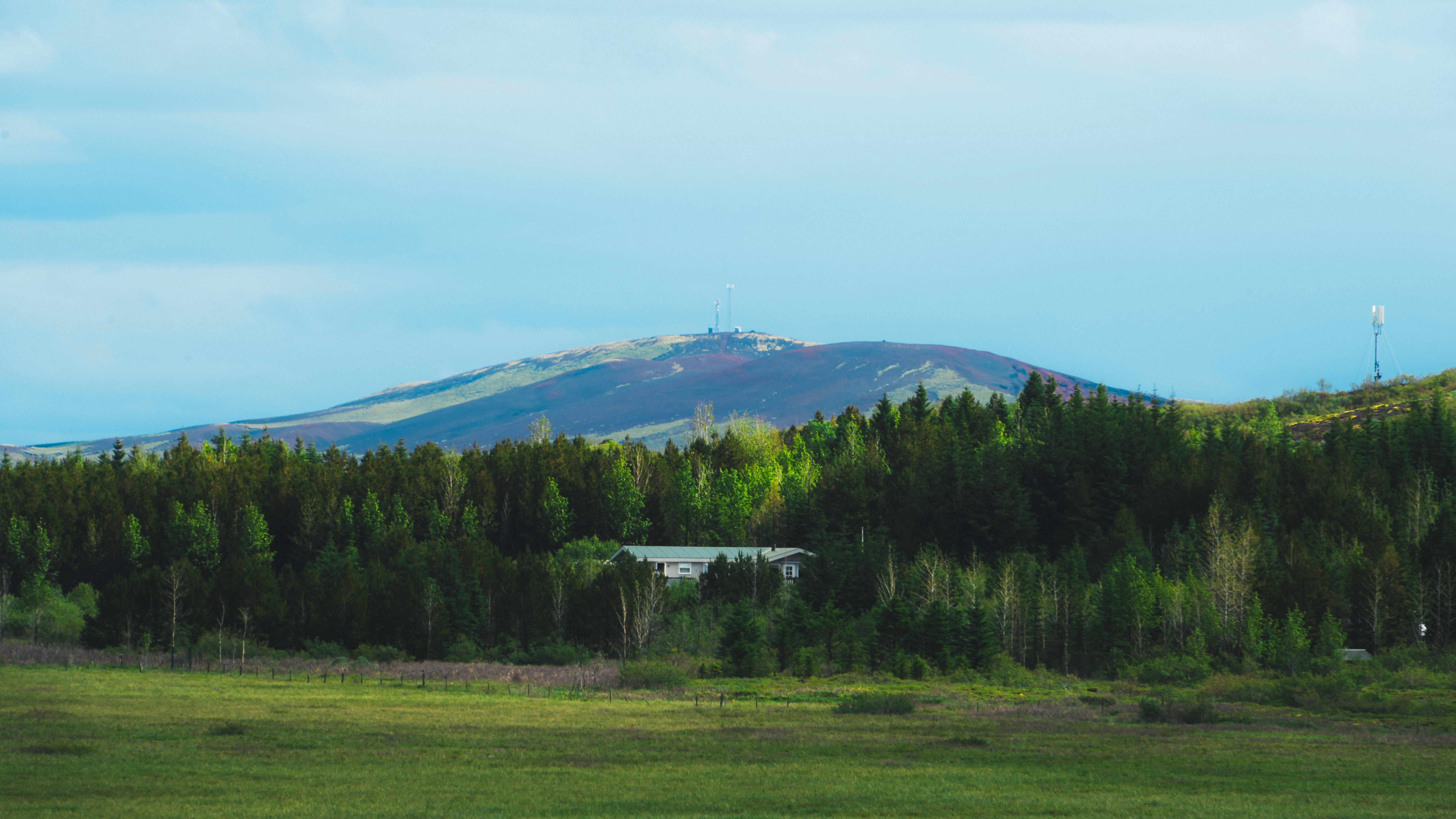Hilltop Tower Over a Quiet Pine Horizon