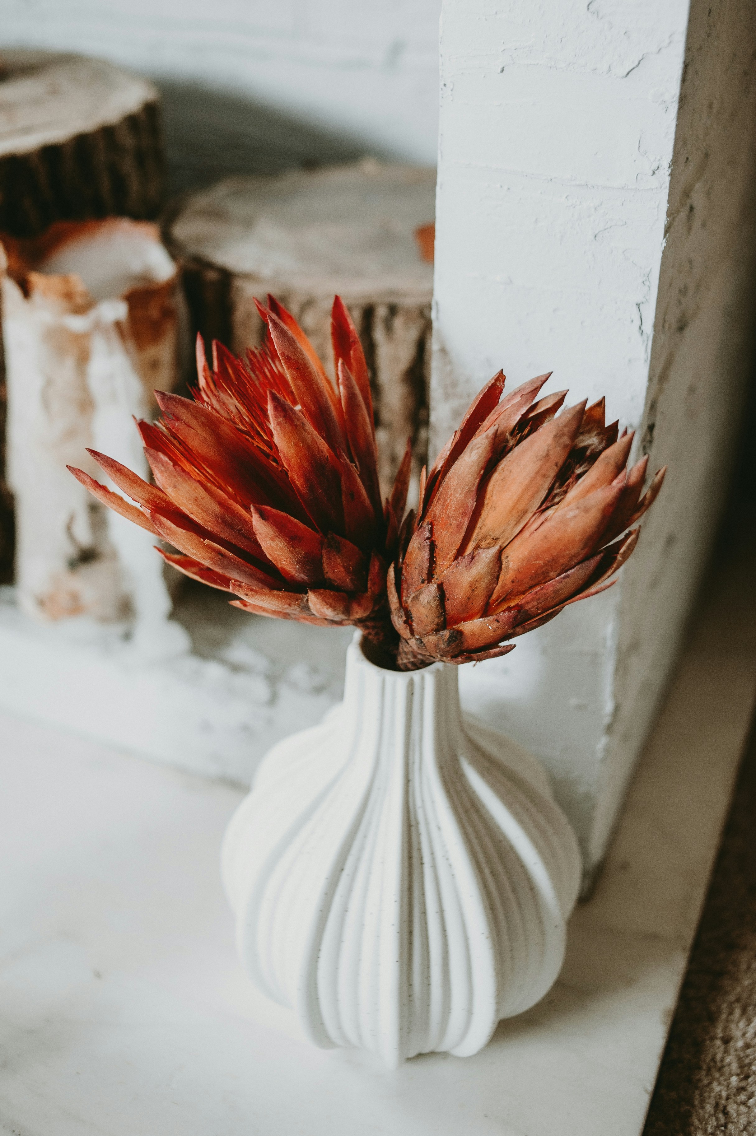 Burnt-orange blooms in a ribbed white vase on a marble sill