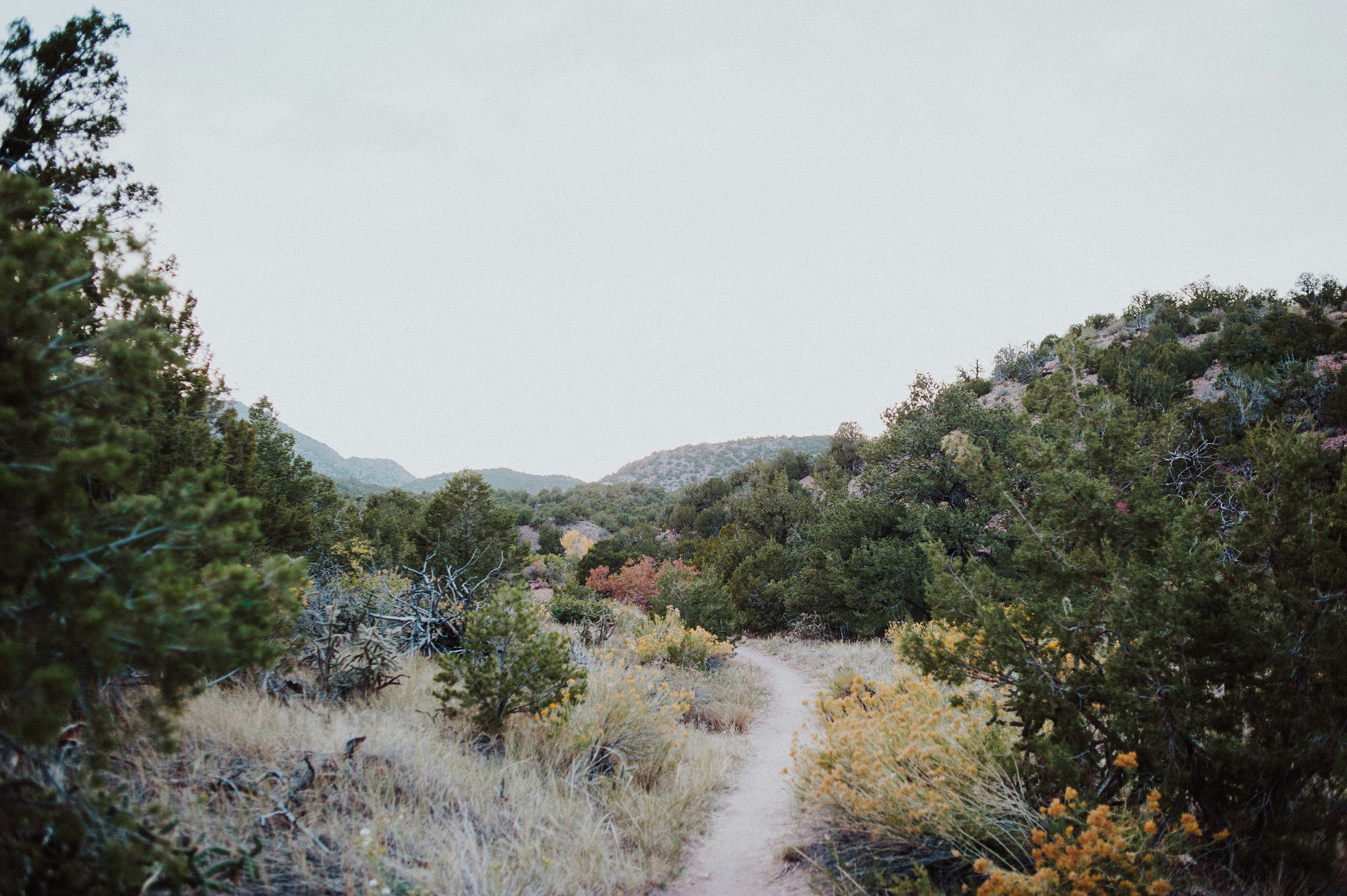 Dusty Spur: A Narrow Trail Winding Through Sagebrush Toward Distant Hills