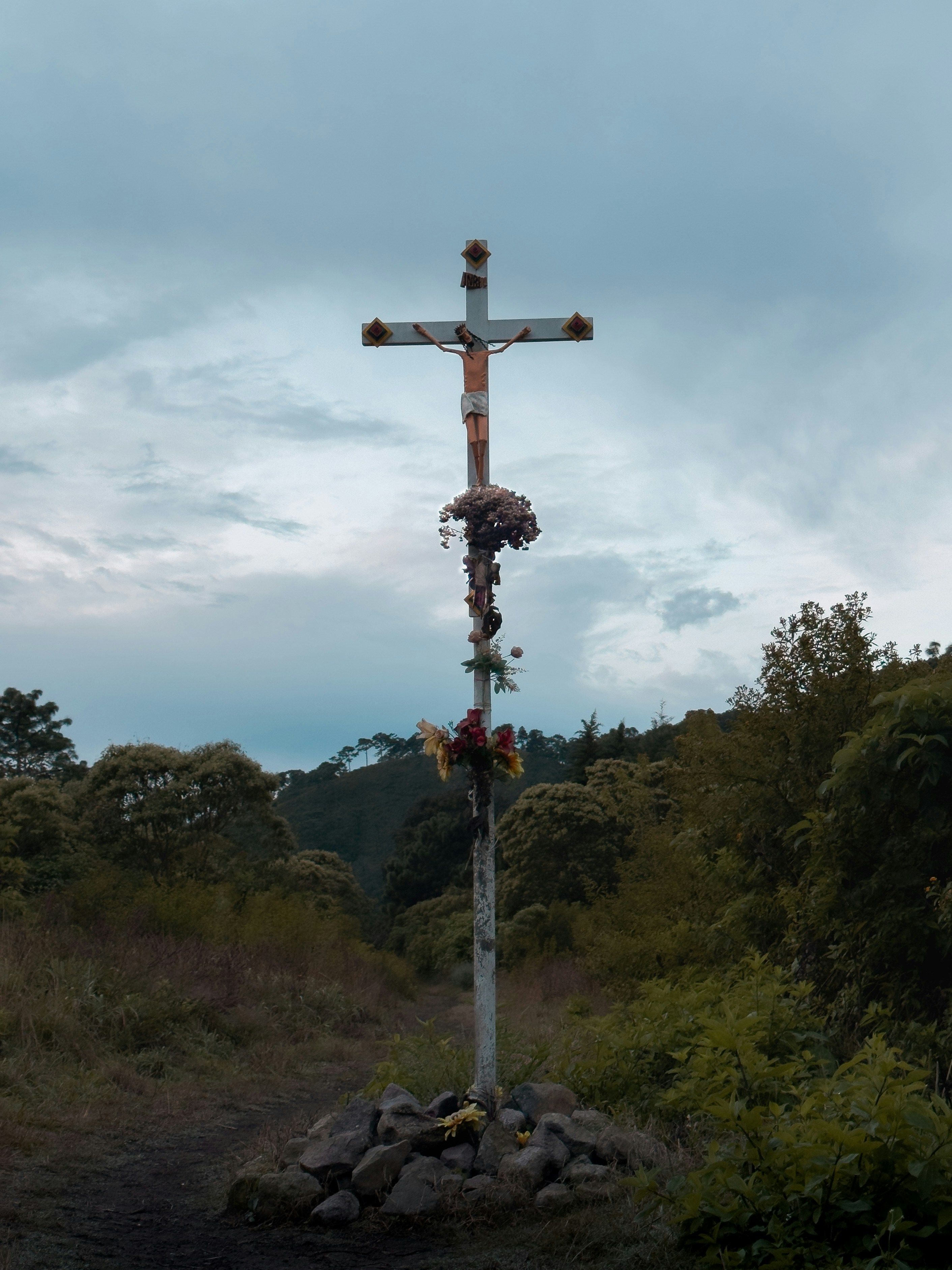 Photo by Alexiz Mora with Apple iPhone 15 Pro Max