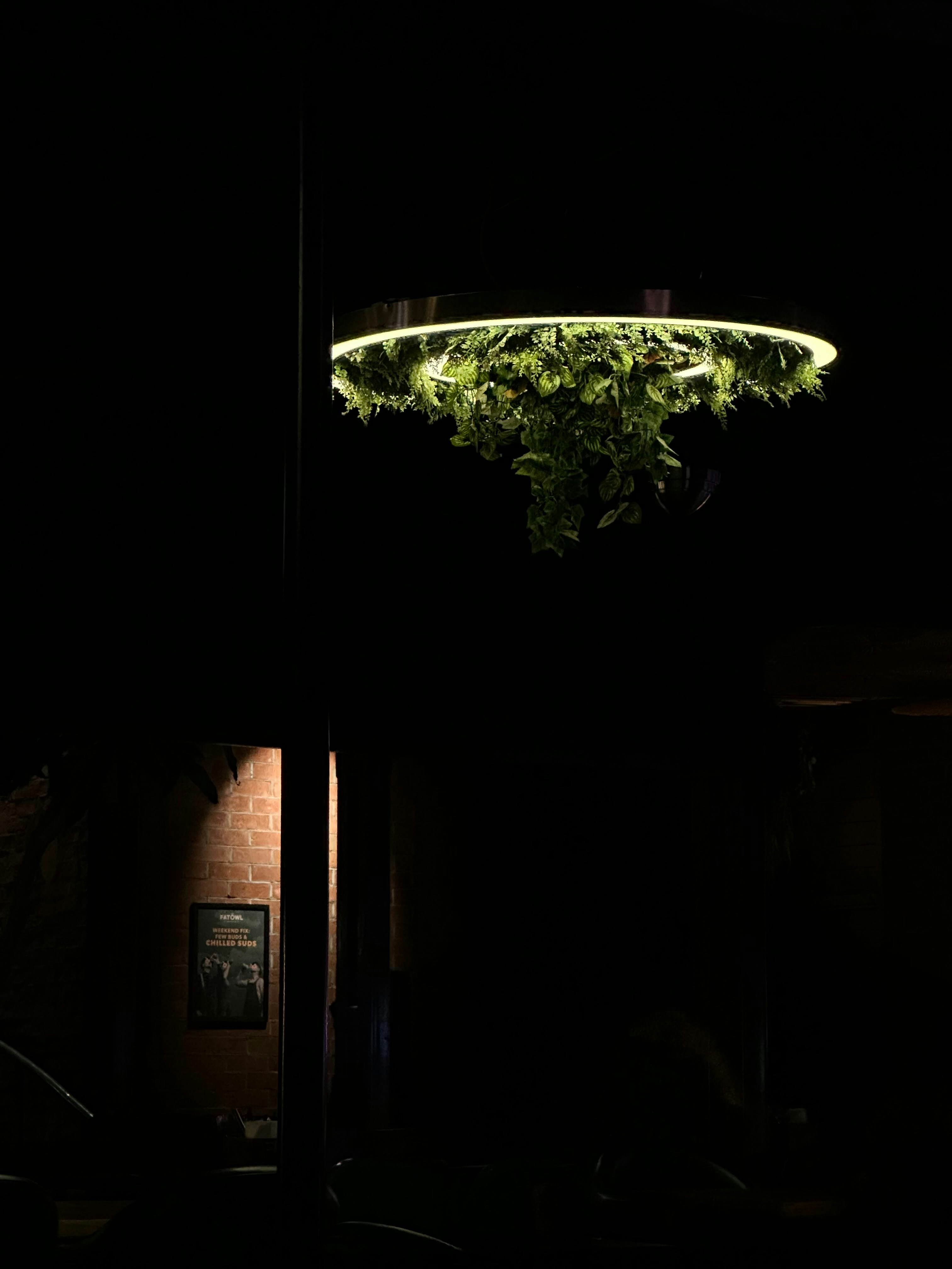 Halo of Ivy: A Circular Lantern Illuminates a Quiet Night Street