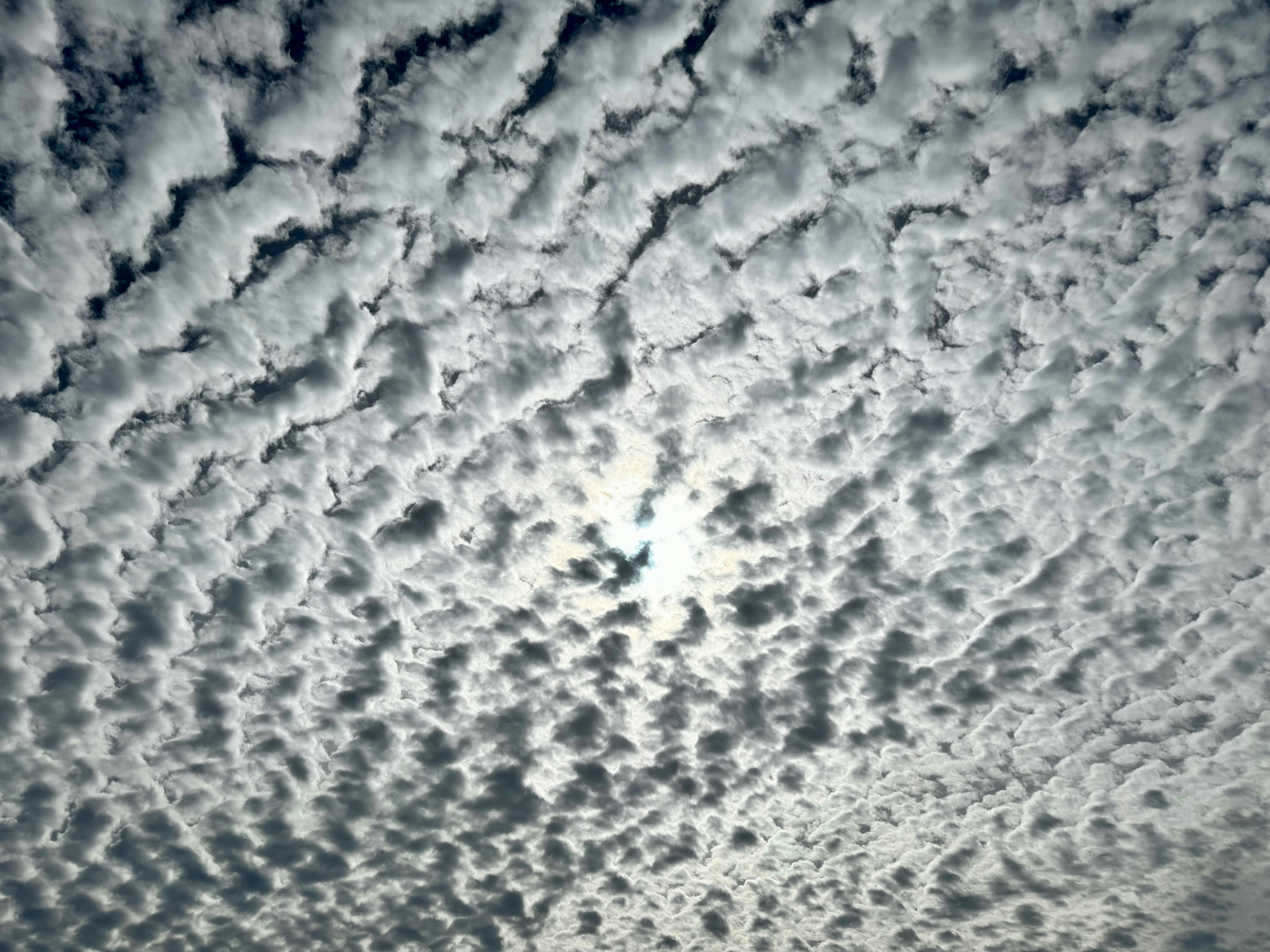 Patchwork Sky: Sunlit Altocumulus Undulations