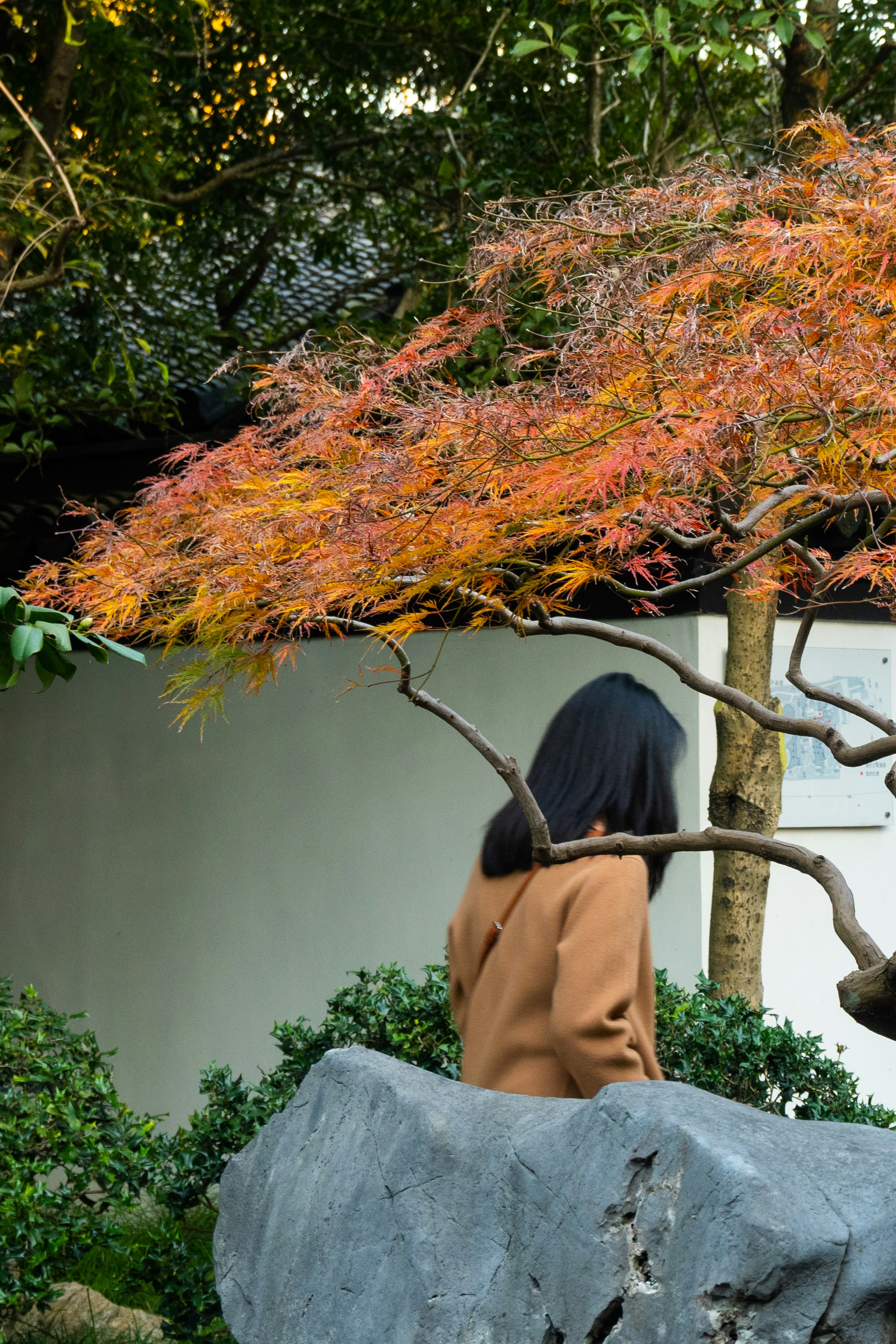 Autumn Branches Framing a Quiet Figure