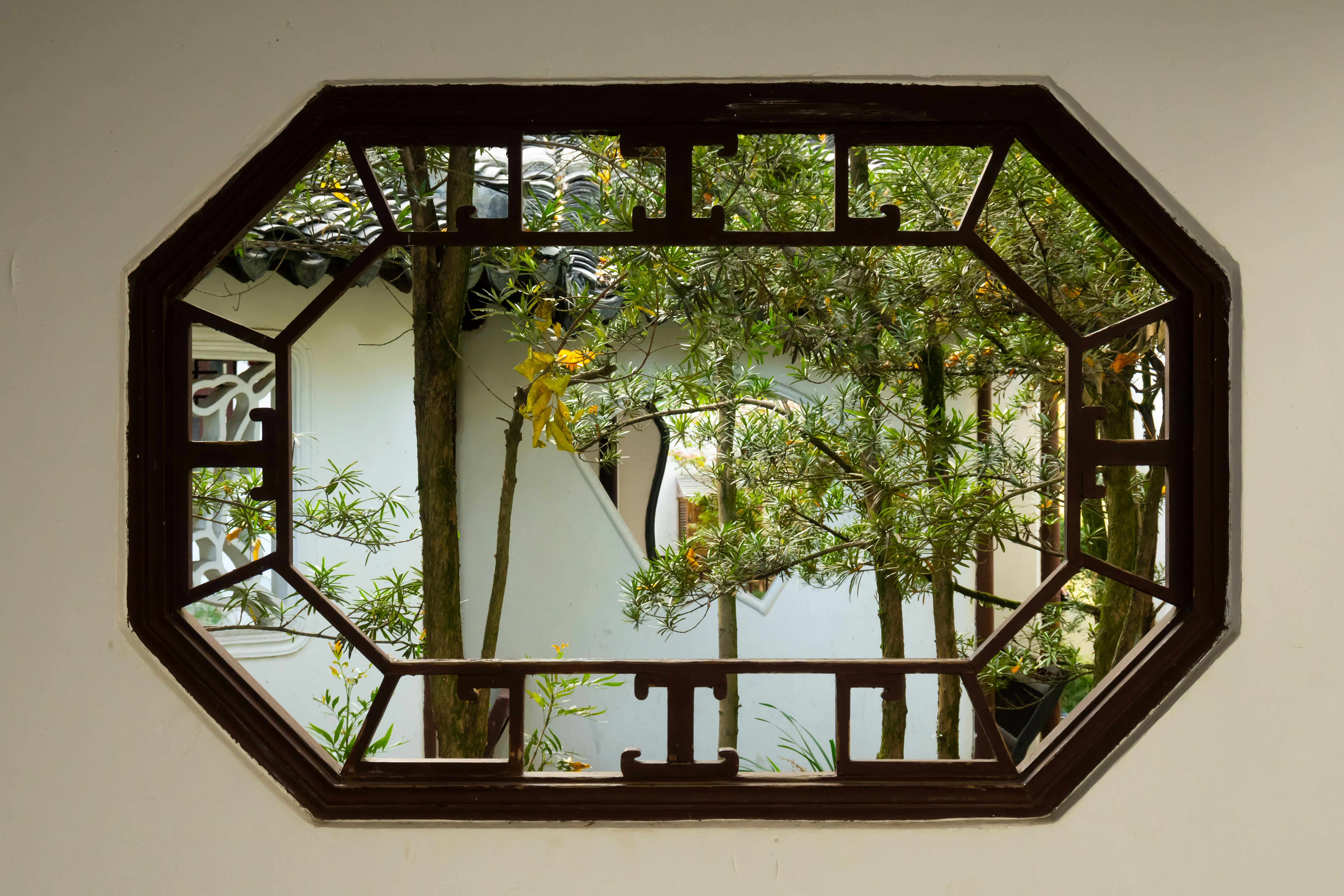 Photo by Cun Mo with Nikon Z30