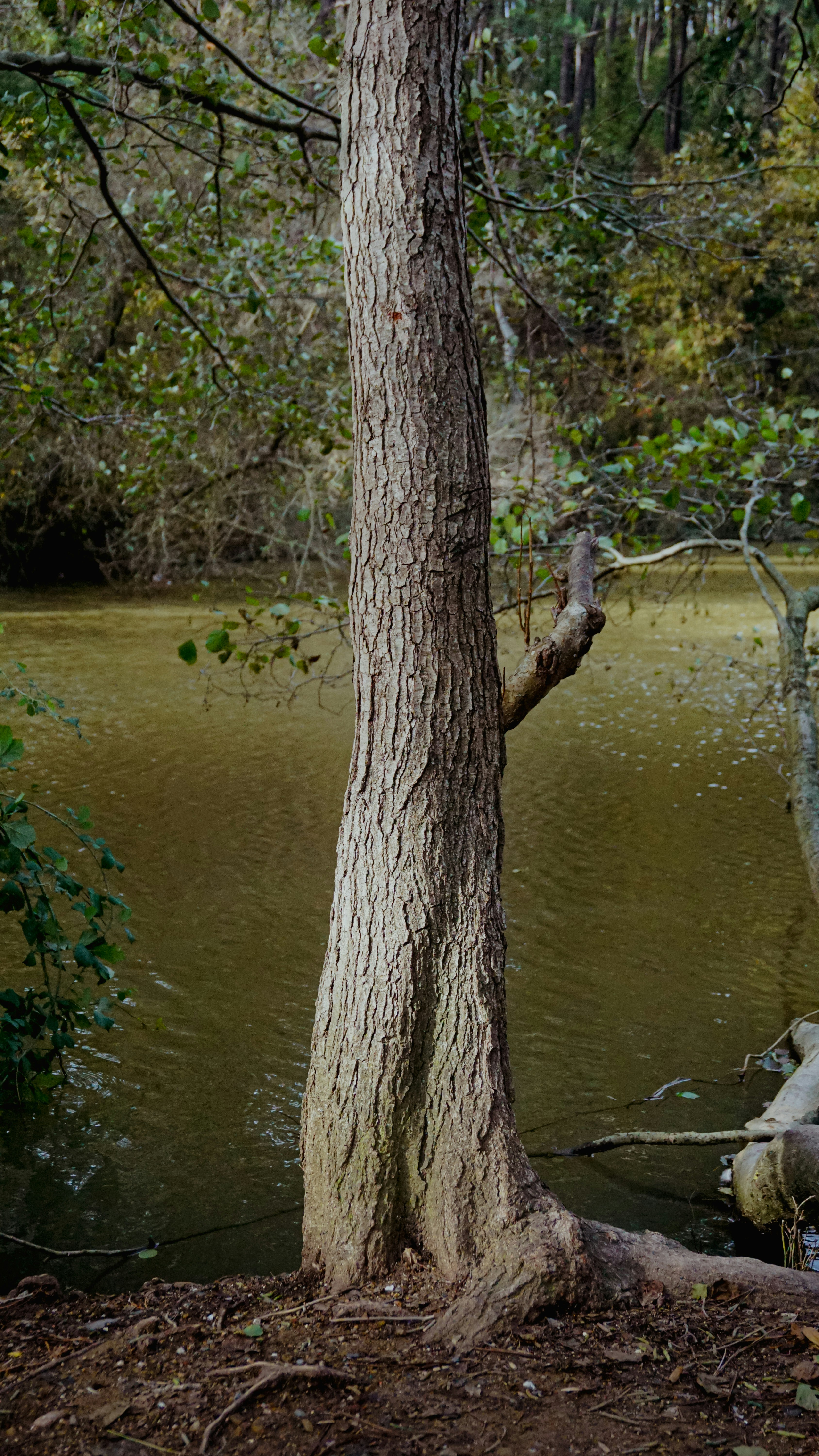 Photo by Ebru Yılmaz with Sony Alpha 6000