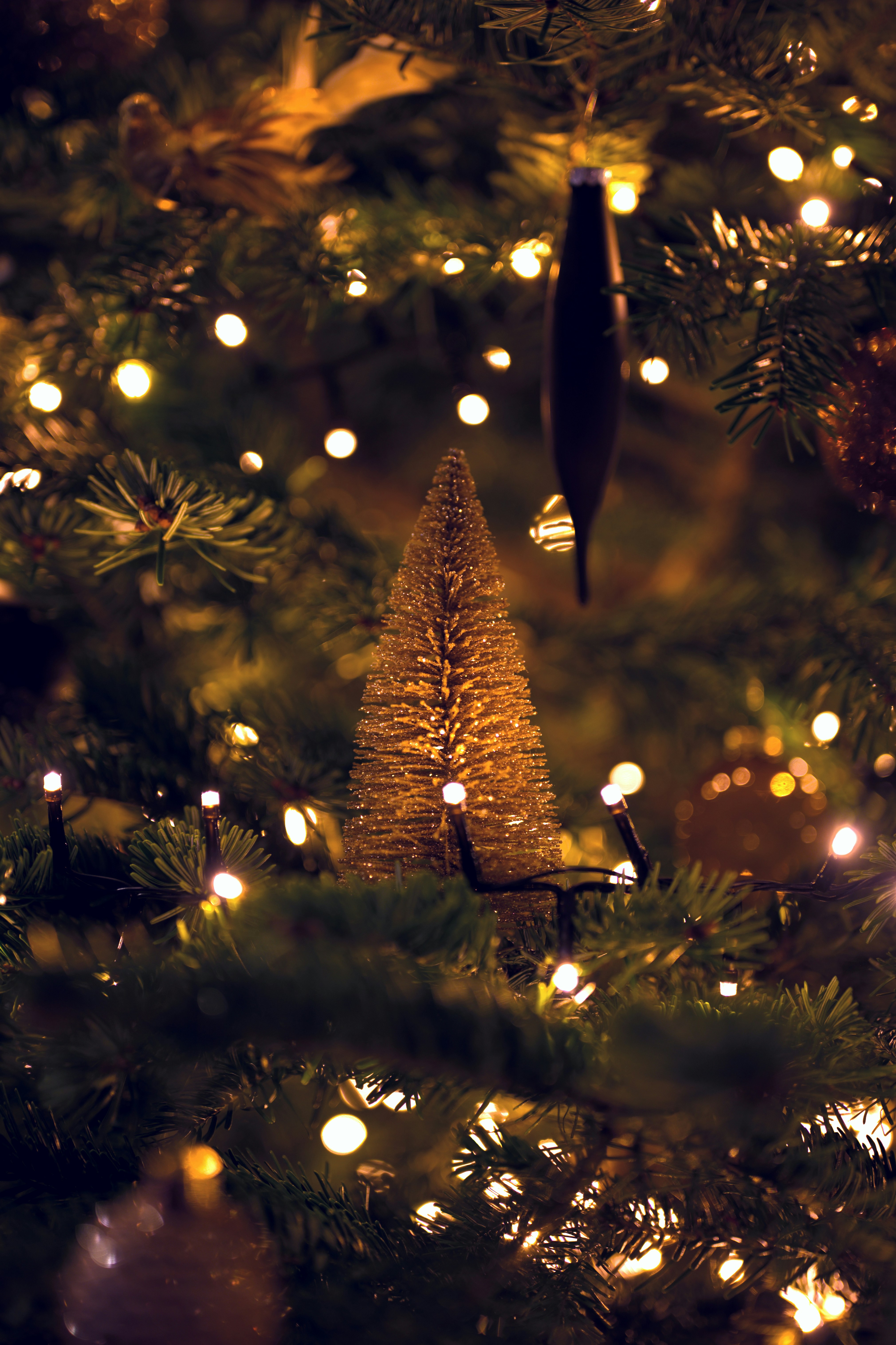 An close-up of a golden tree as christmas tree decoration