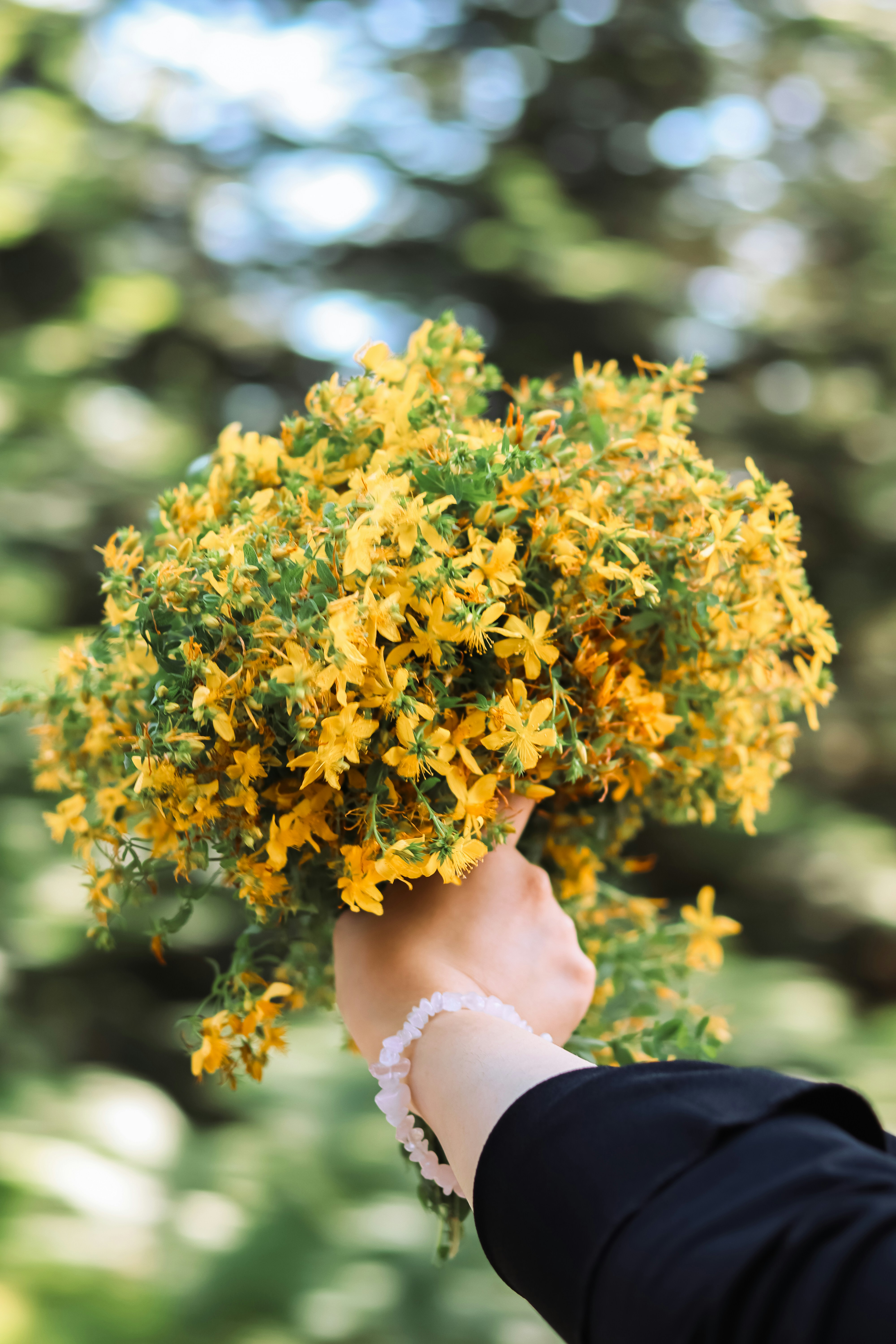 Bouquet of Sunshine: Handheld Yellow Blooms Against a Blurred Green Backdrop