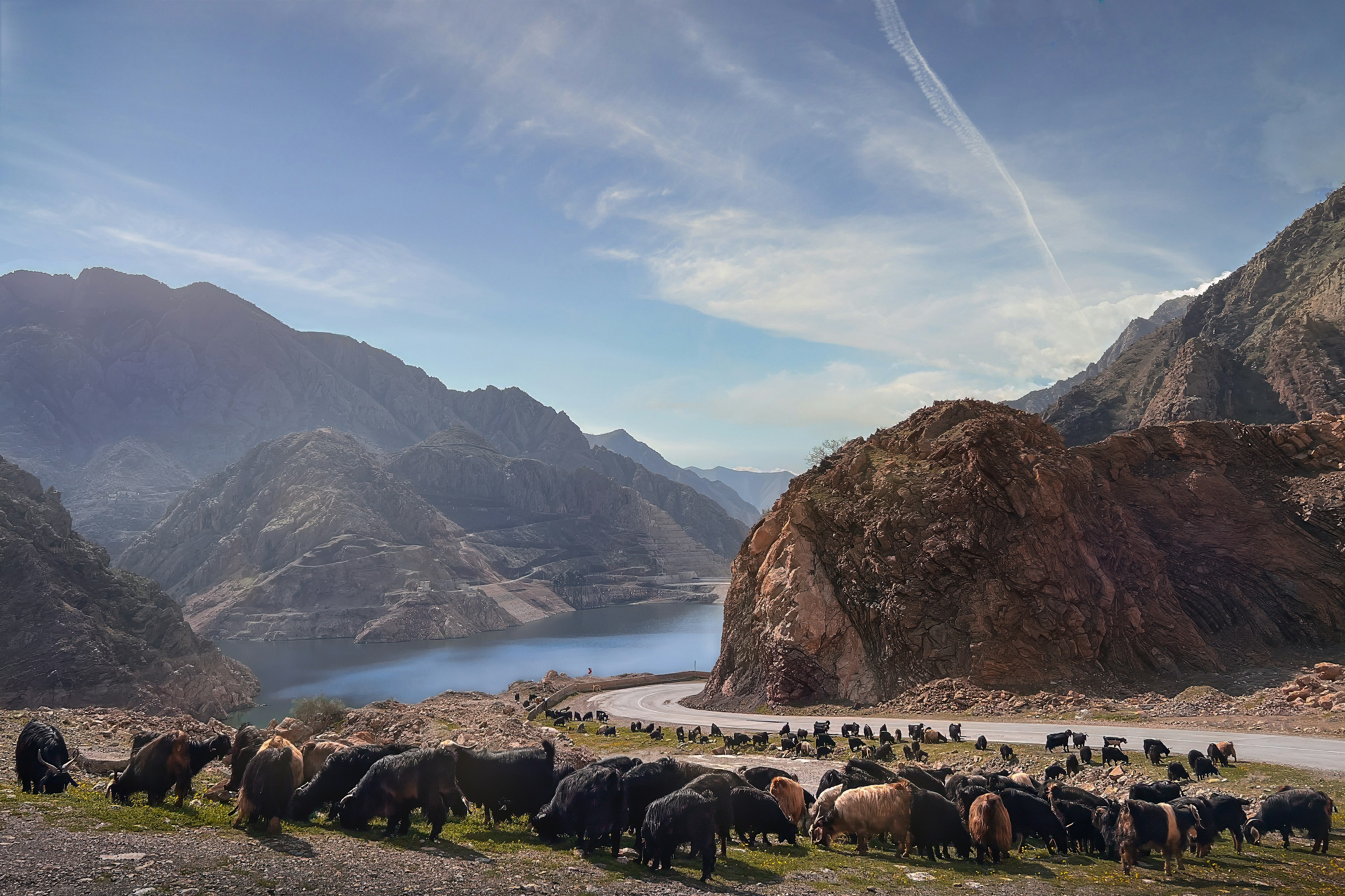 Mountain Herds by the Lake