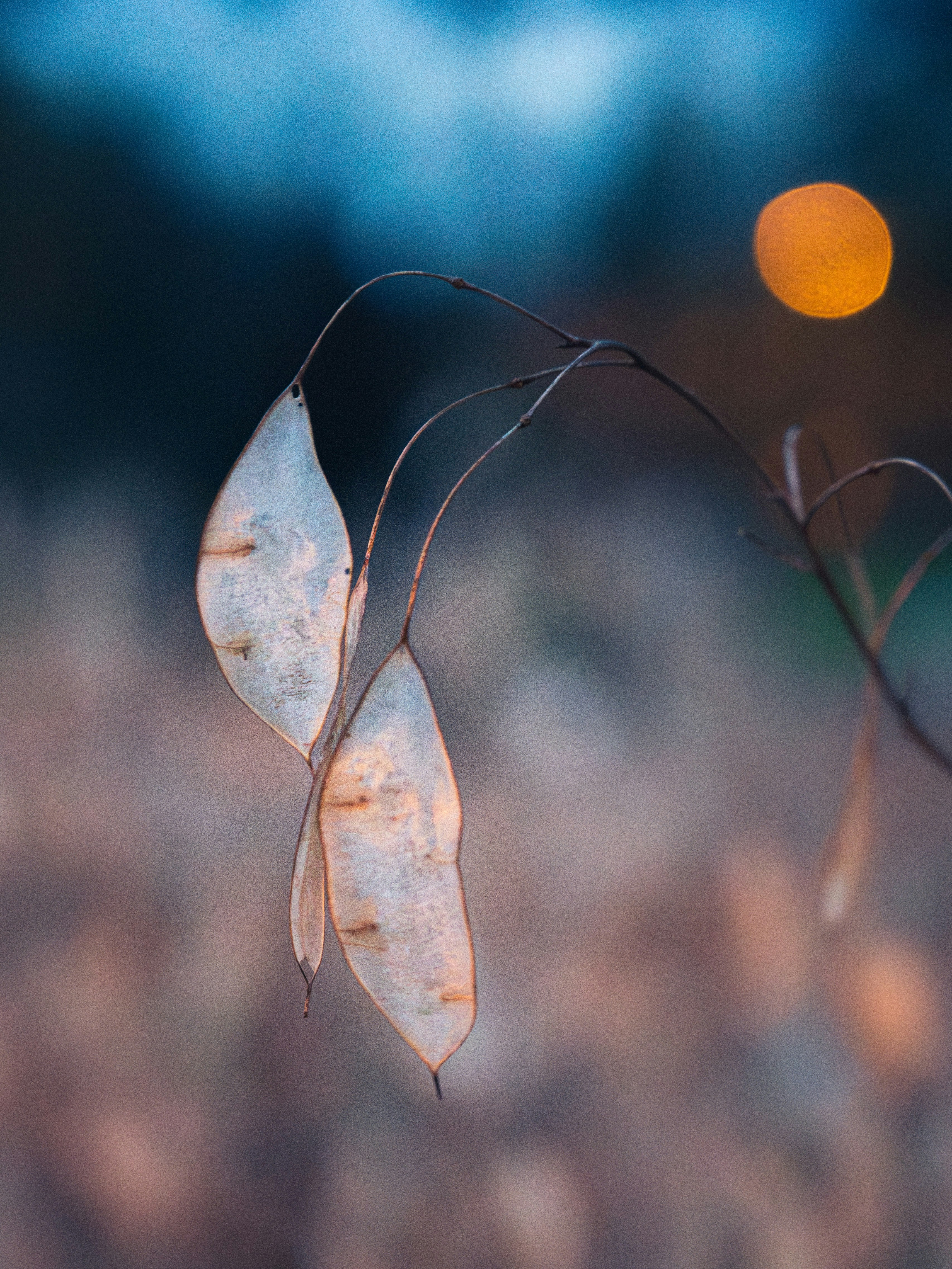 Photo by Oleg Demakov with Nikon Z6