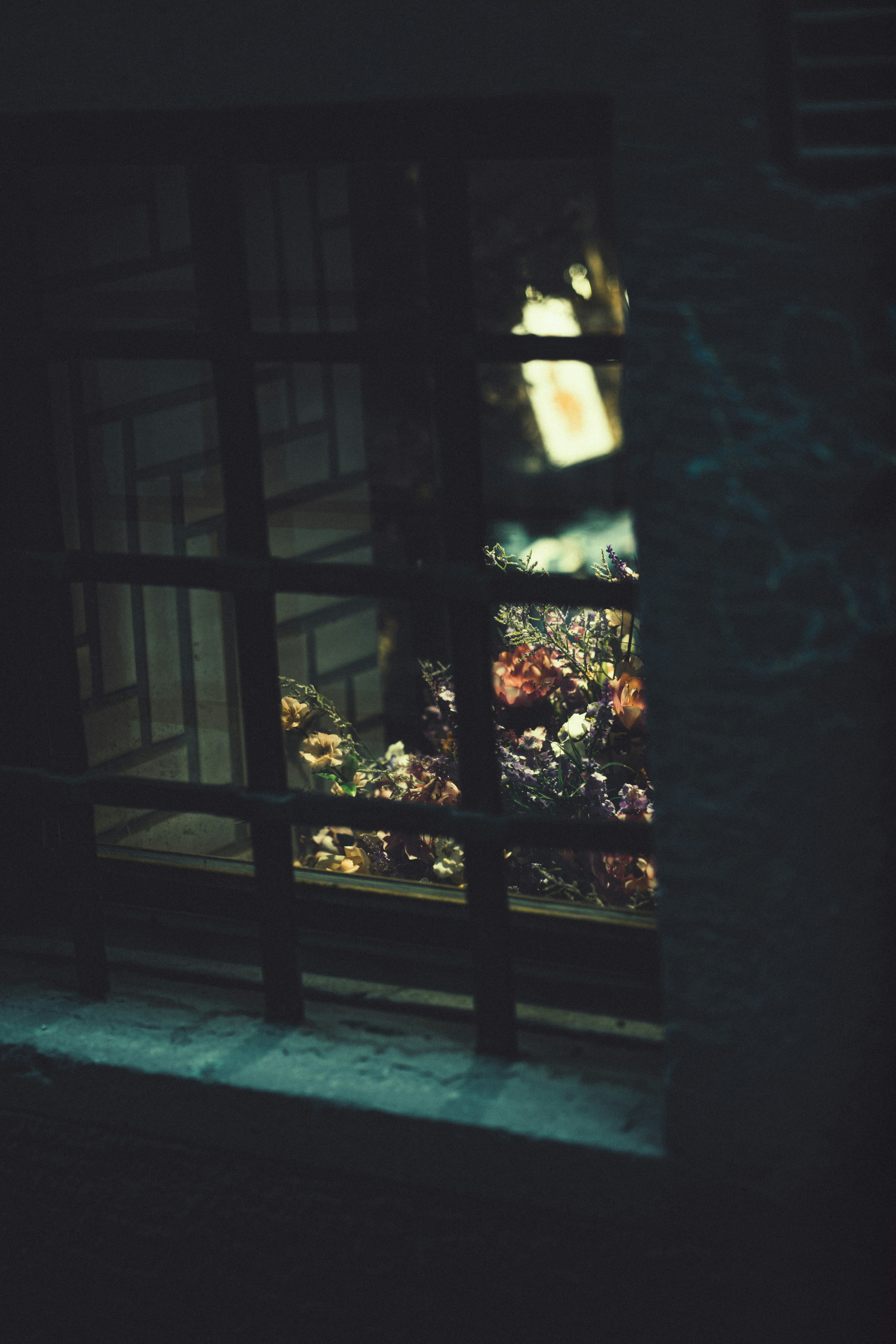 Midnight Bloom Behind a Latticed Window