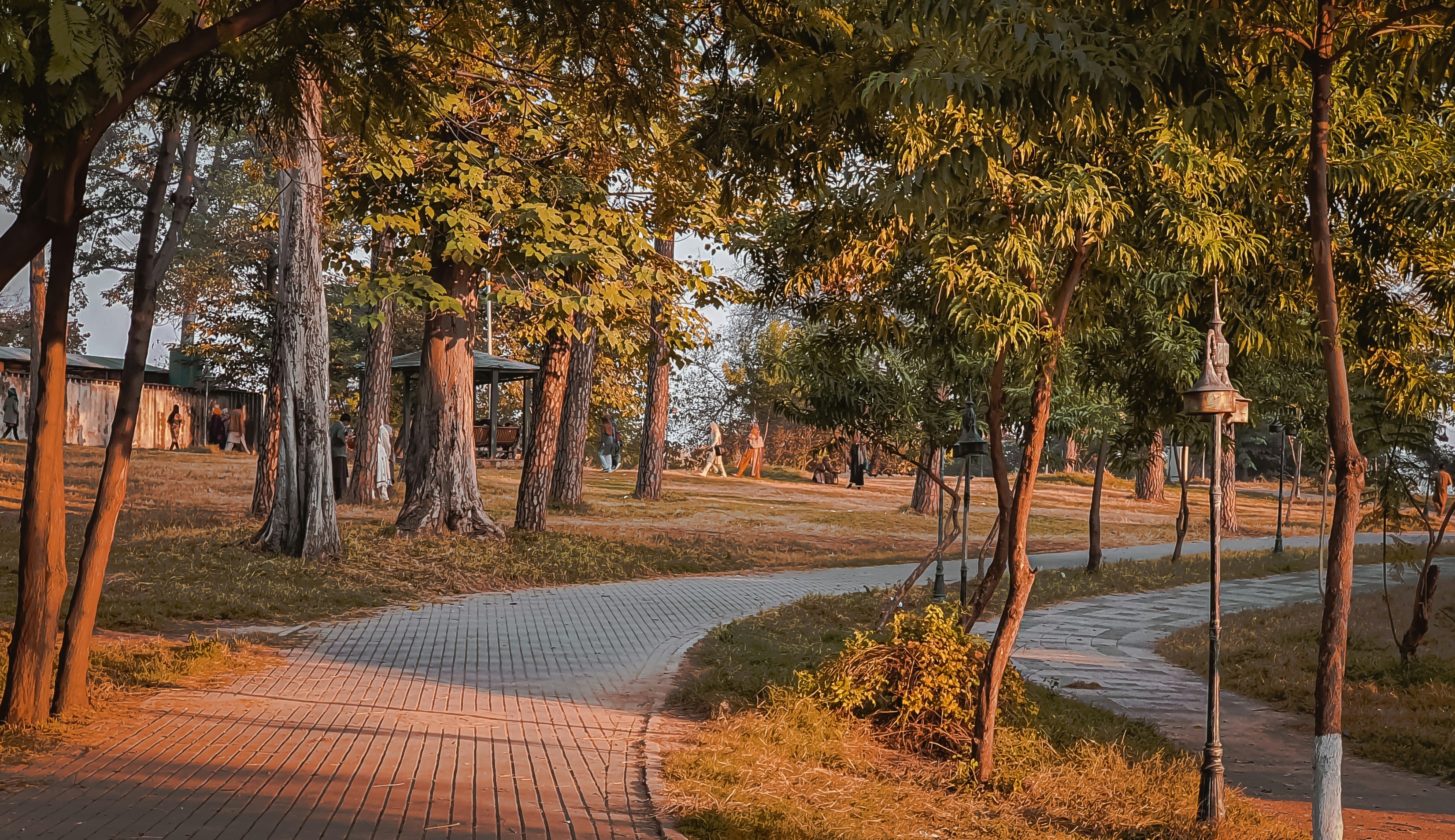 A pathway in a park with trees and a building in the background photo ...