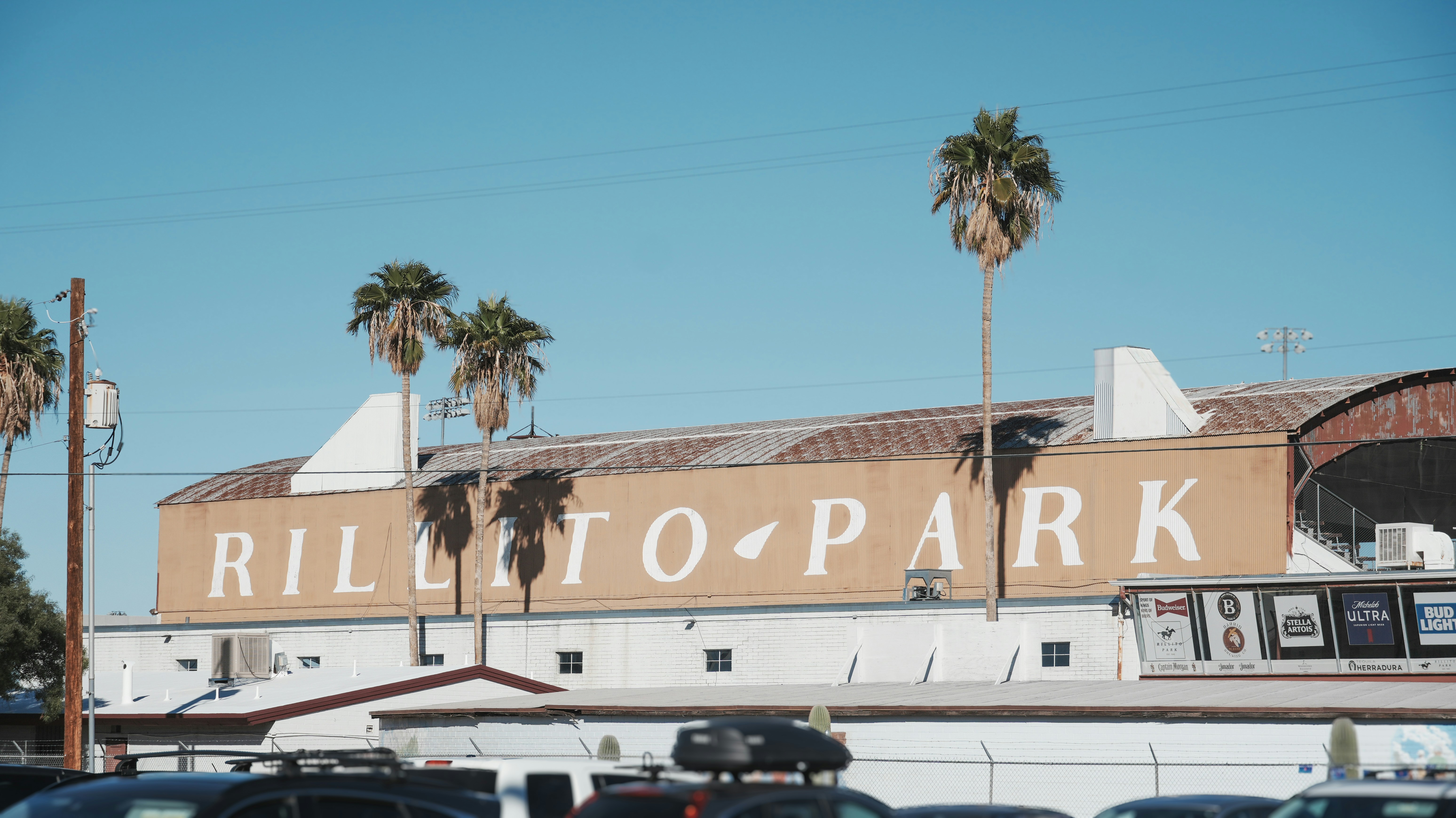 Rialto Park Sign Framed by Tall Palms Under a Vivid Blue Sky