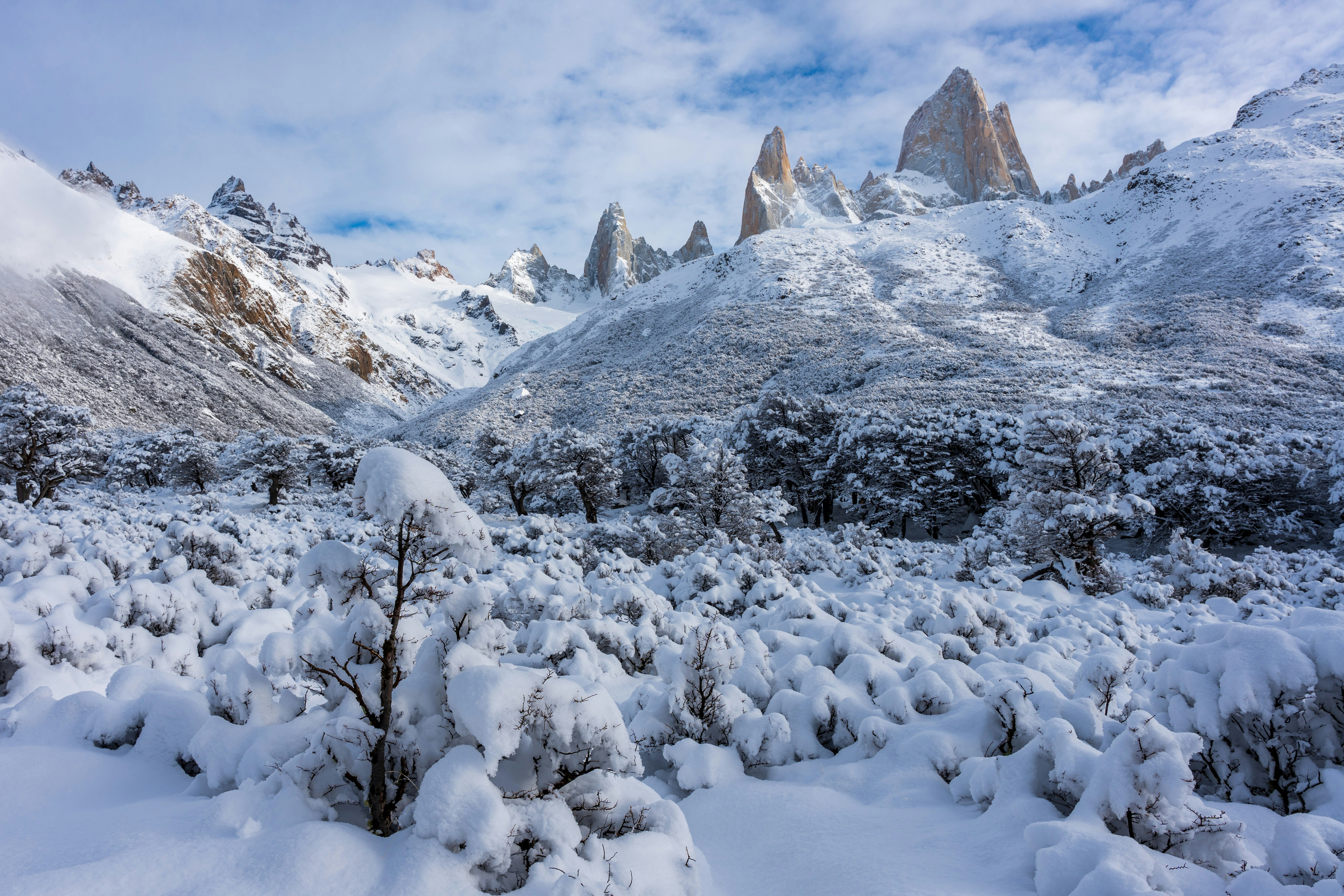 Photo by Vlad Namashko with Sony Alpha 7 IV