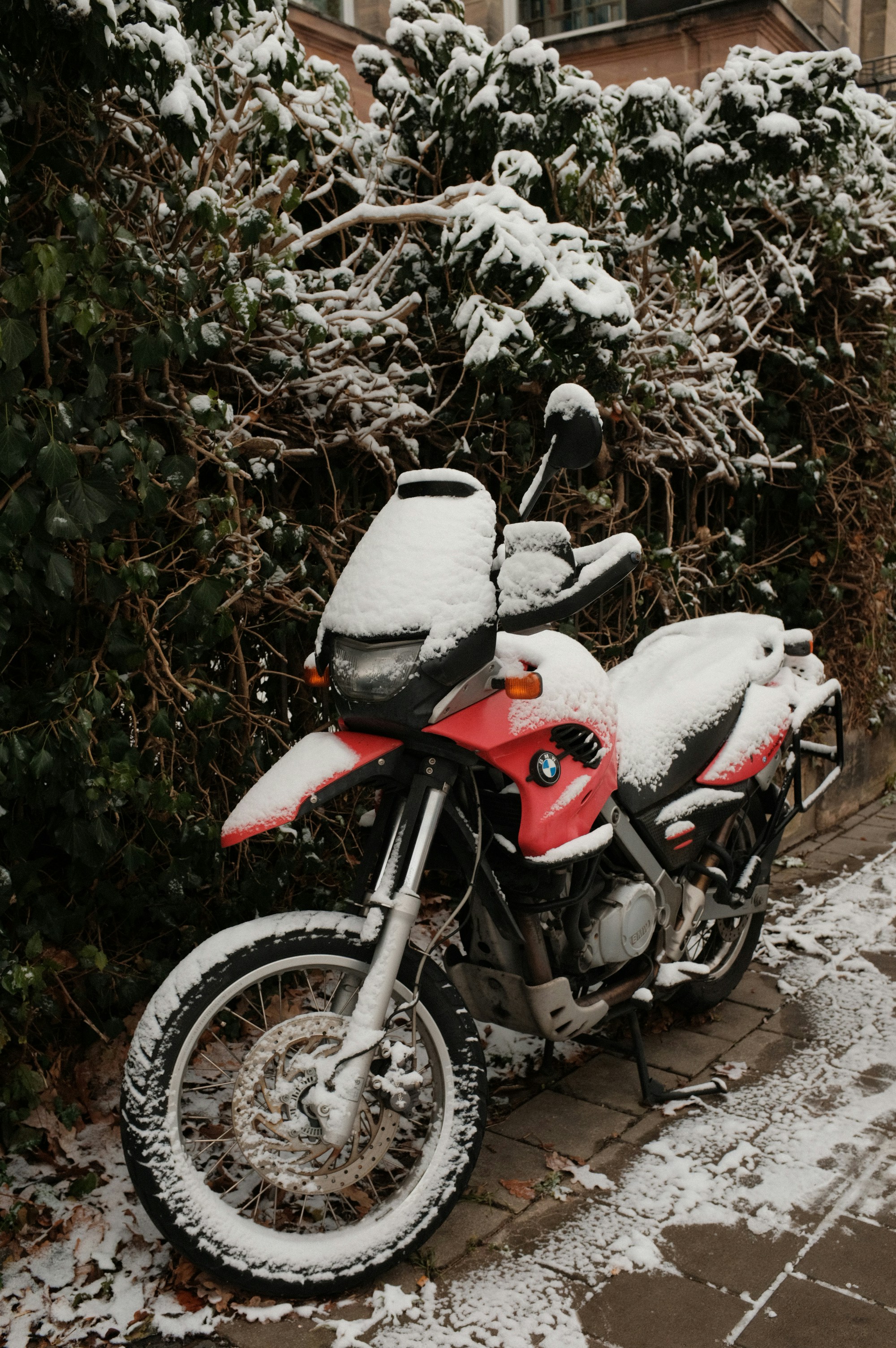Snowbound Red BMW Dual-Sport by a Hedge in Quiet Winter Light