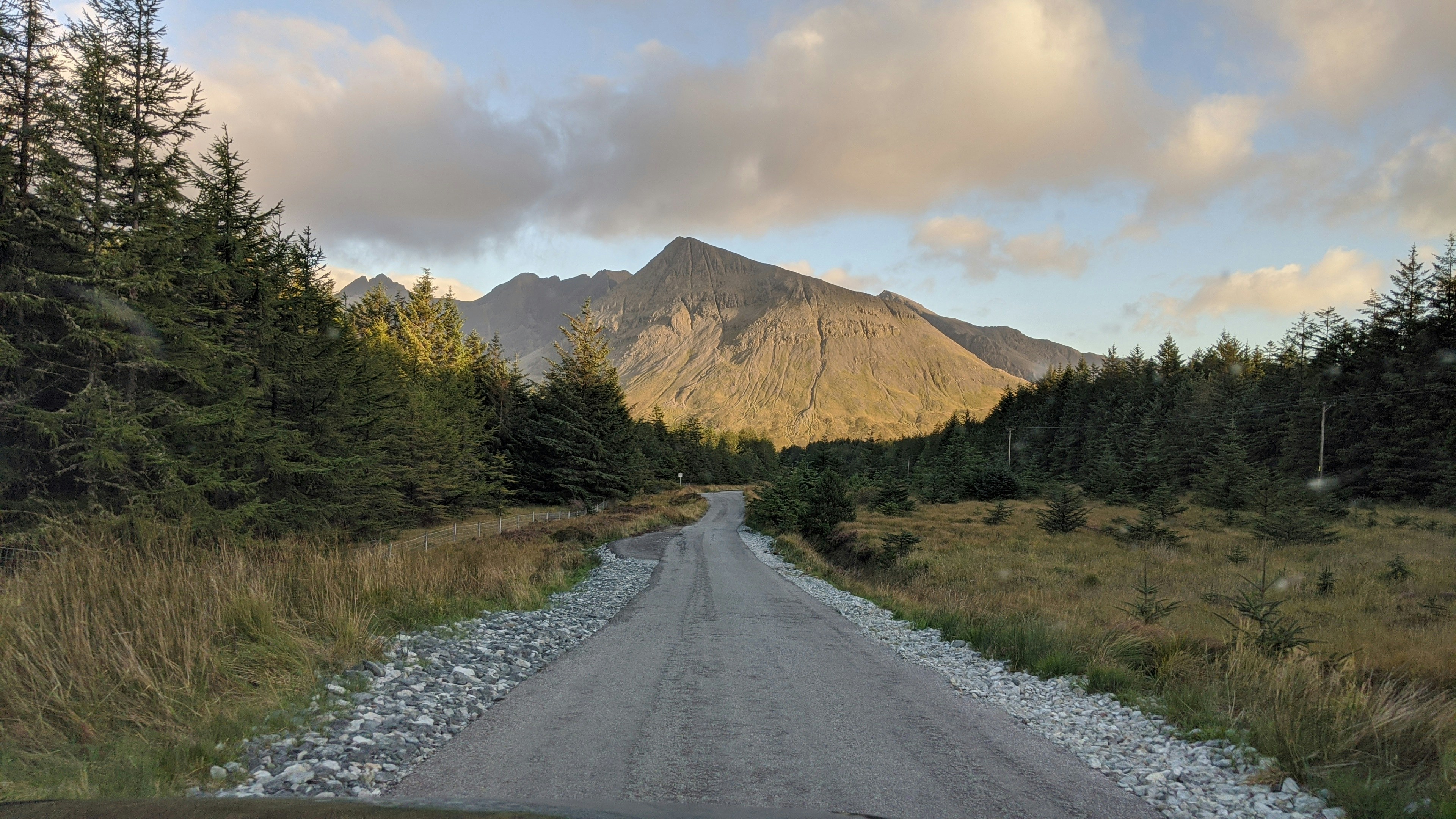 Mountain Gate: A Gravel Road to the Treetop Horizon
