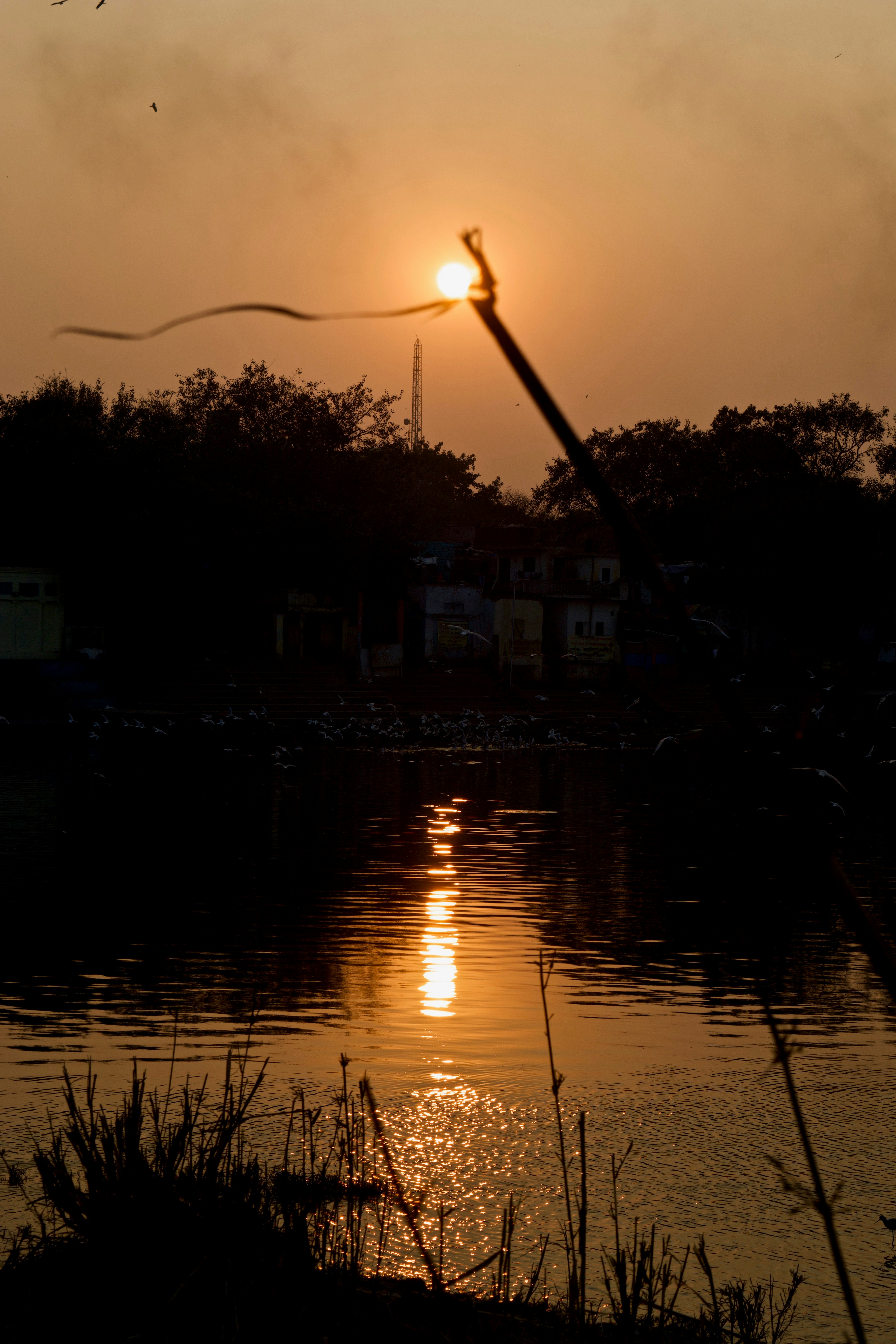 Sunset photograph features a leaning crane silhouetted against a warm sky. The calm river reflects the golden light, with dark shoreline trees providing a stark contrast.