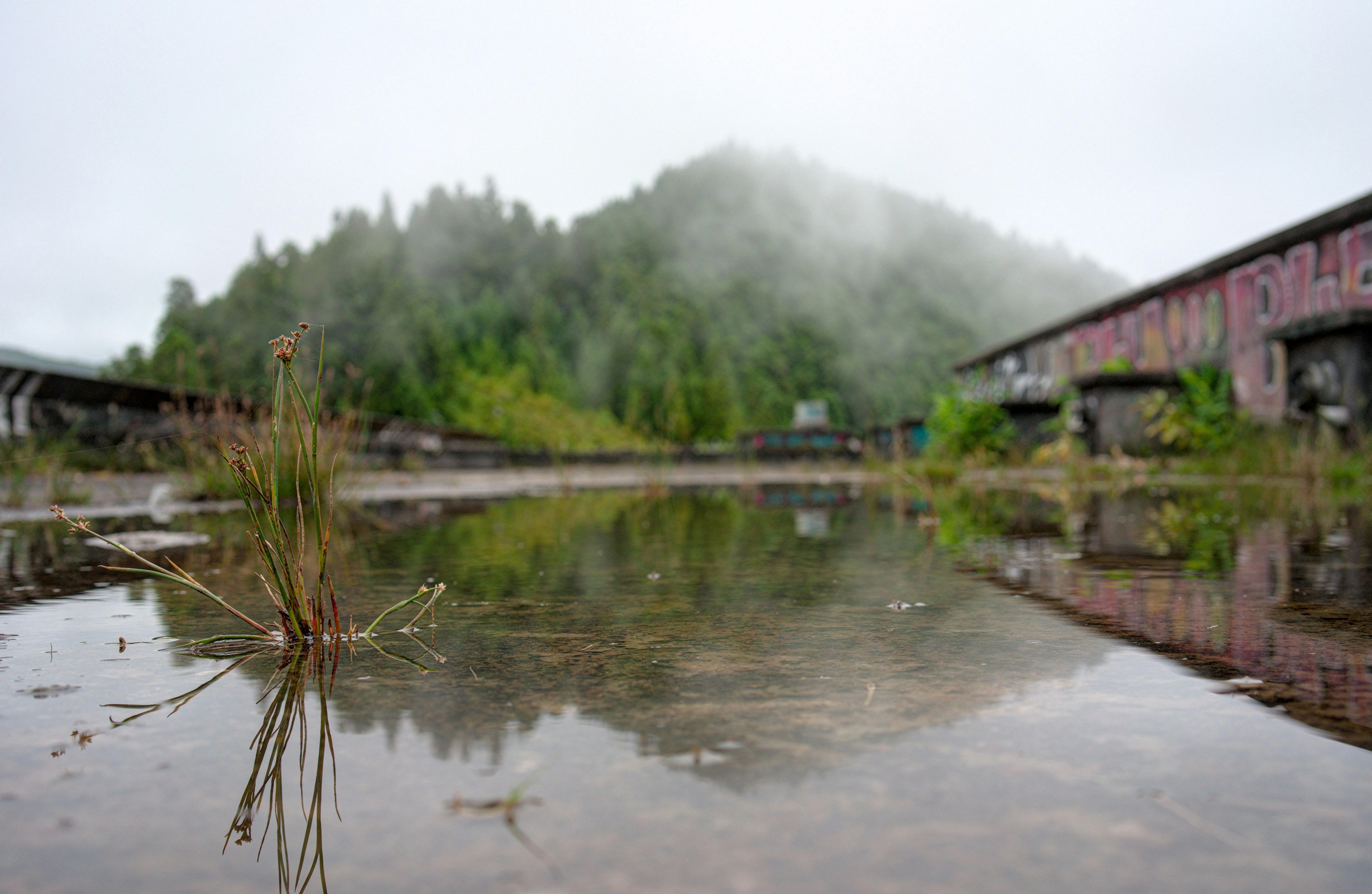 Abandoned railway tracks and graffiti-covered structures reflecting in a rainwater puddle, with misty hills in the background.