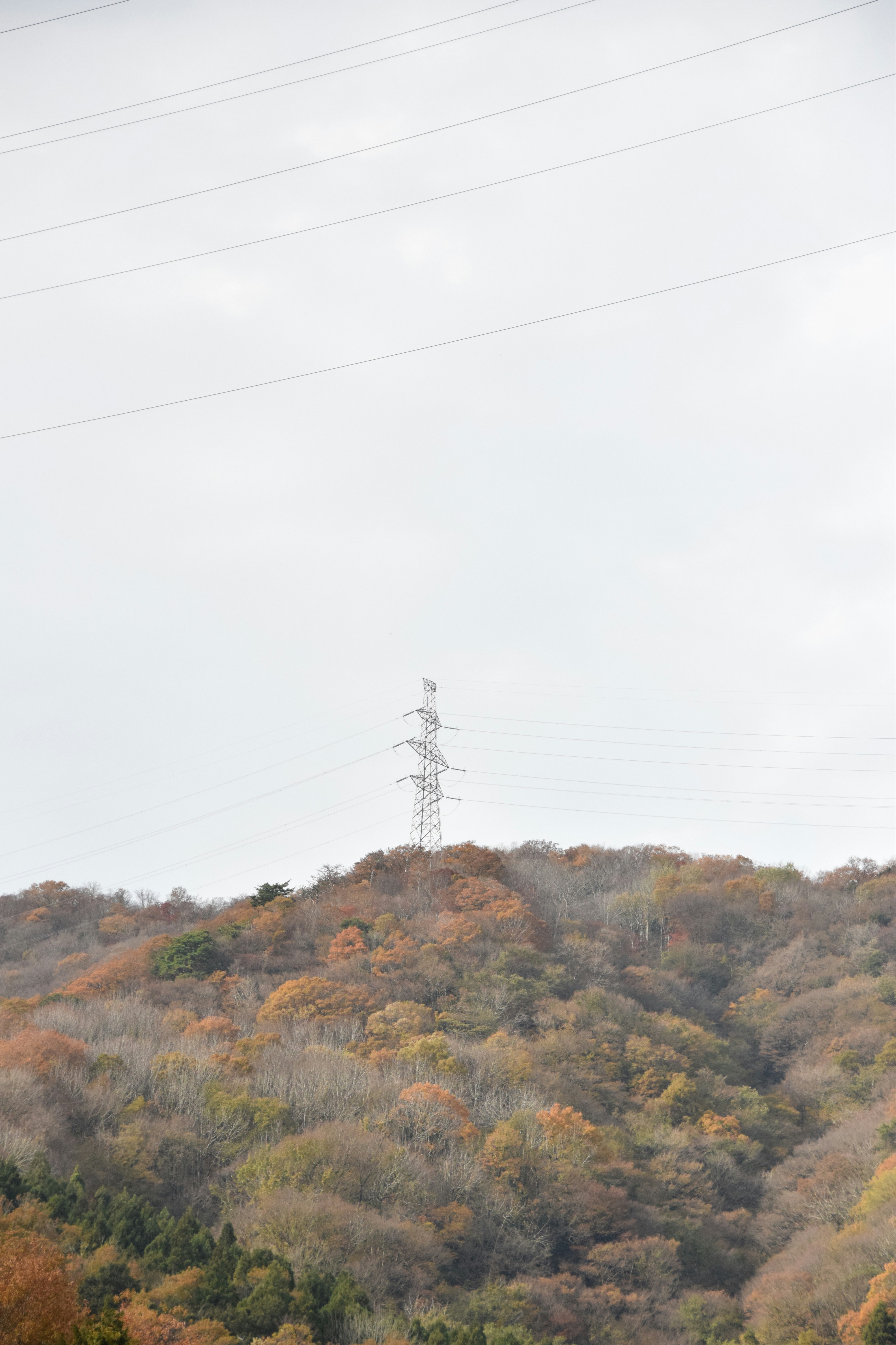 A hill with a telephone pole on top of it photo – Free White Image on ...