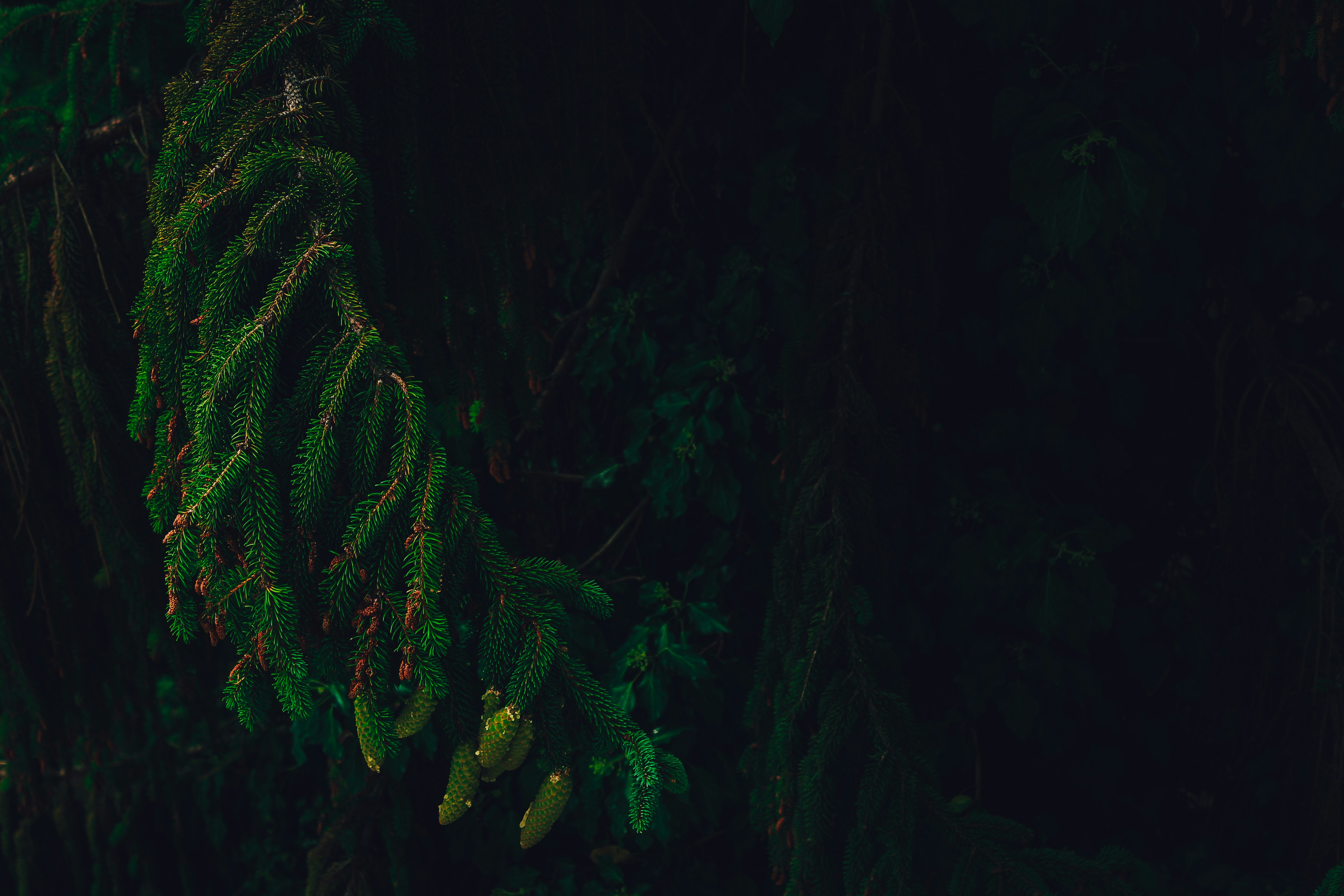 Photo by Czapp Botond with Canon EOS 1200D