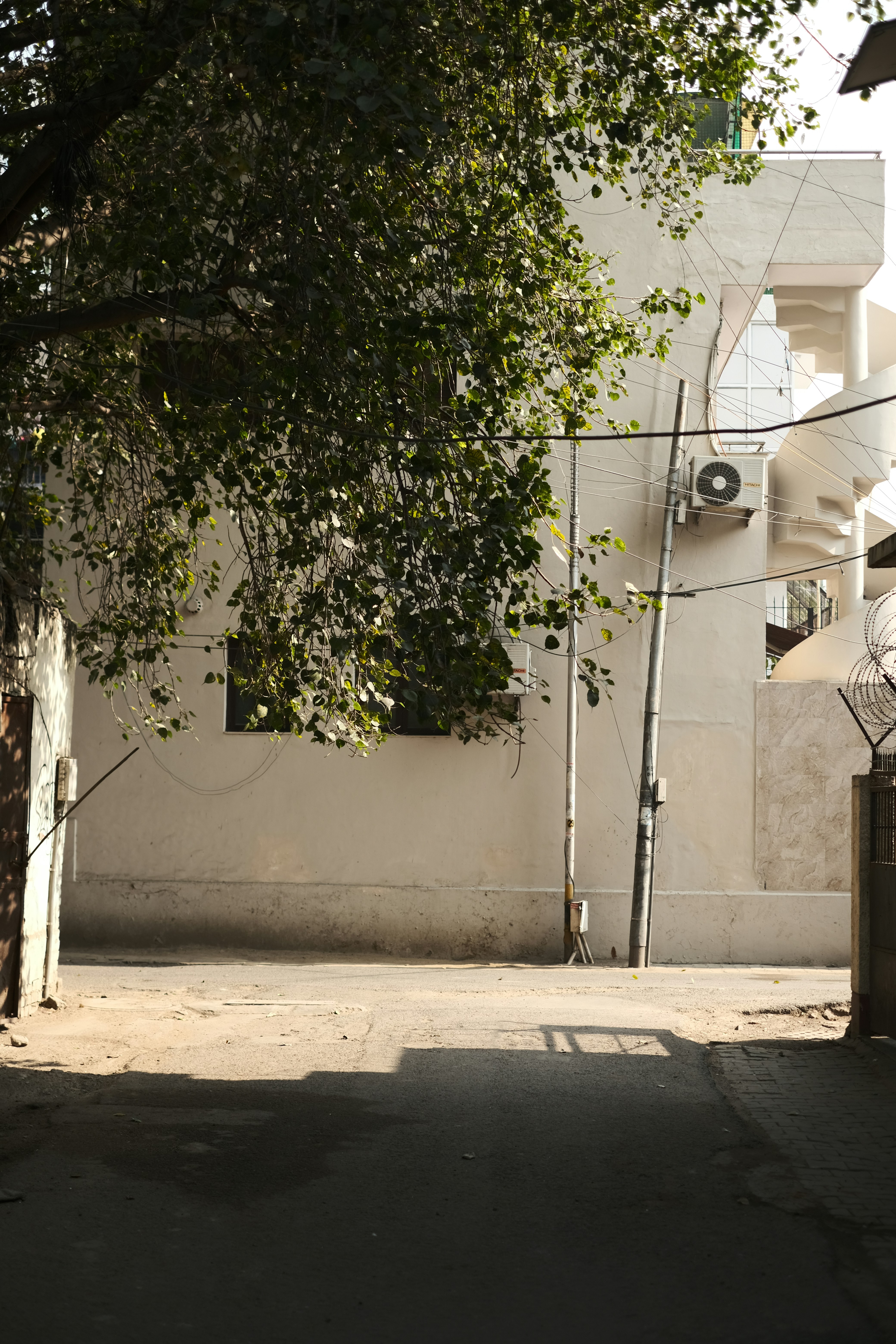 The shadow of a tree on the side of a building photo – Free New delhi ...