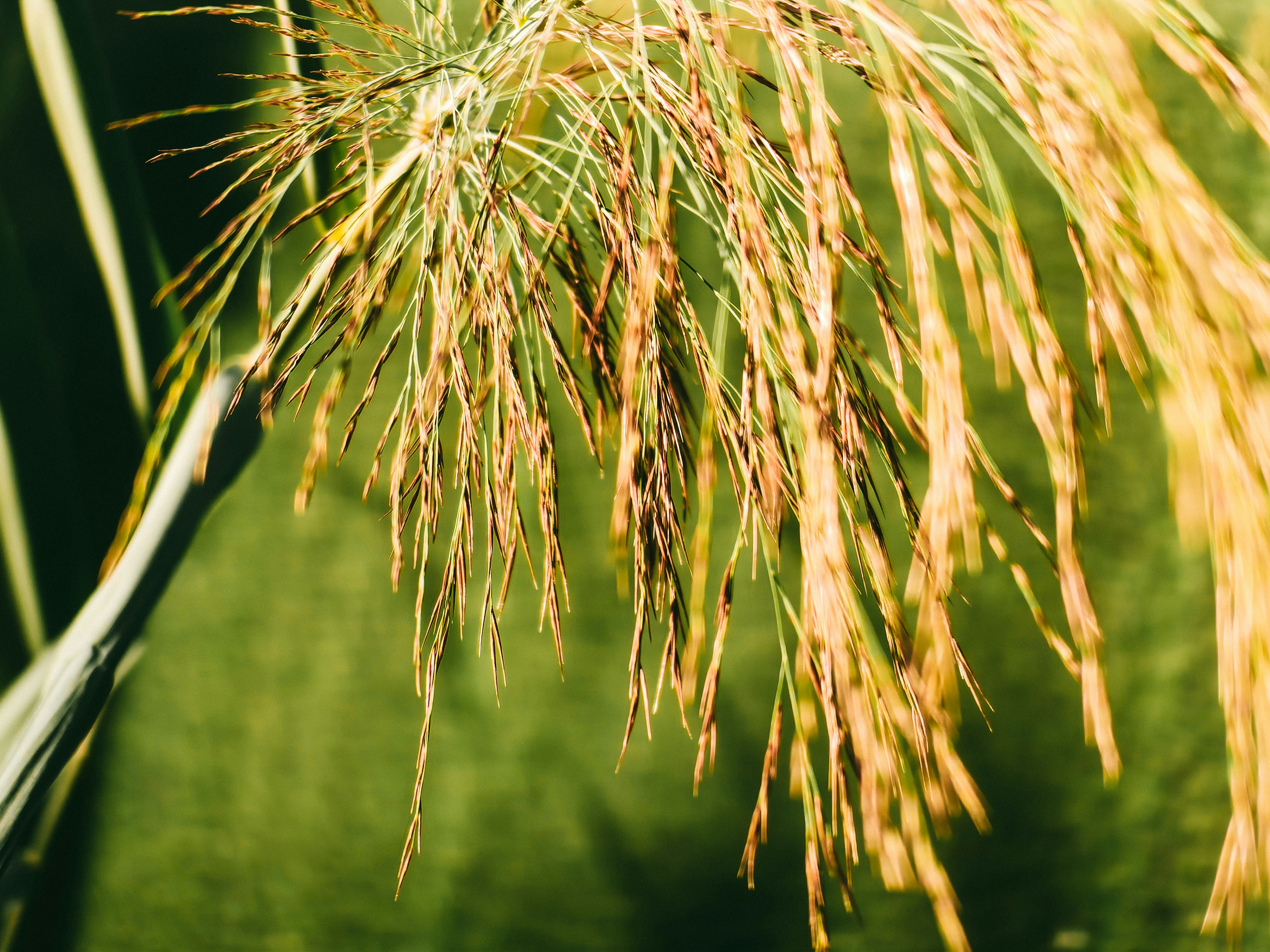 Photo by wu yi with Huawei P60 Art