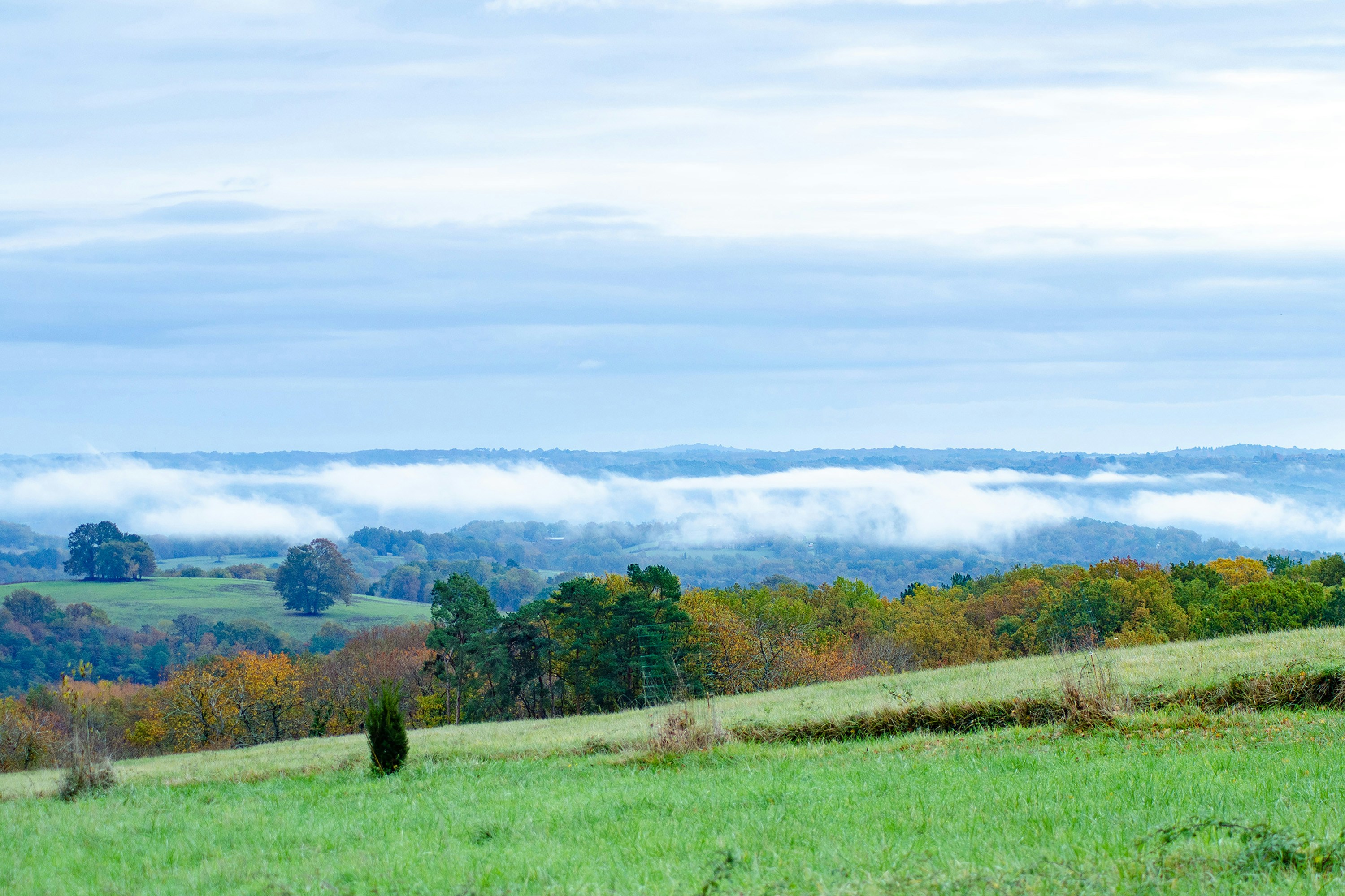 Mist-Laced Horizon over a Fall-Kissed Valley