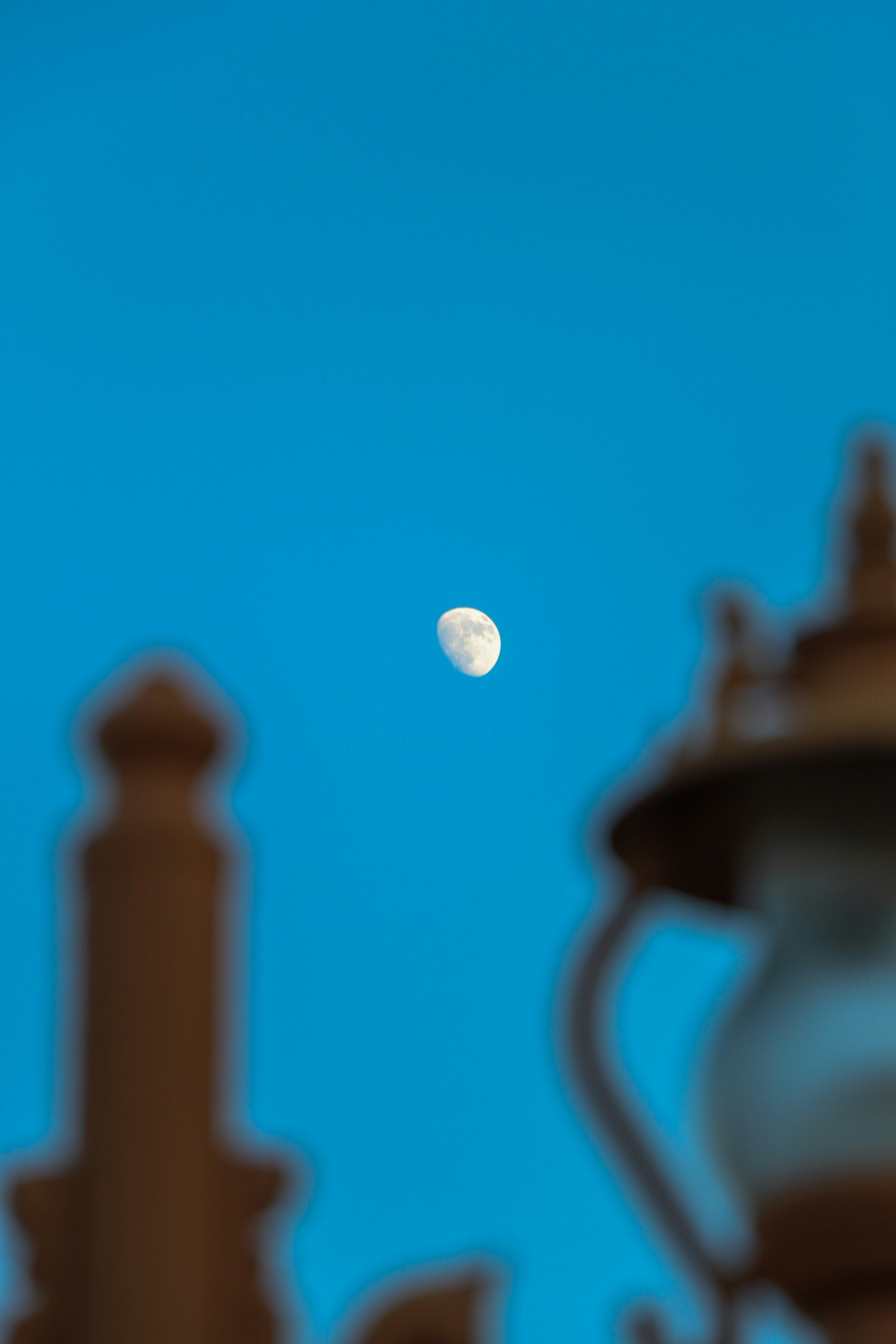 Moon in a cobalt sky, framed by soft lantern silhouettes