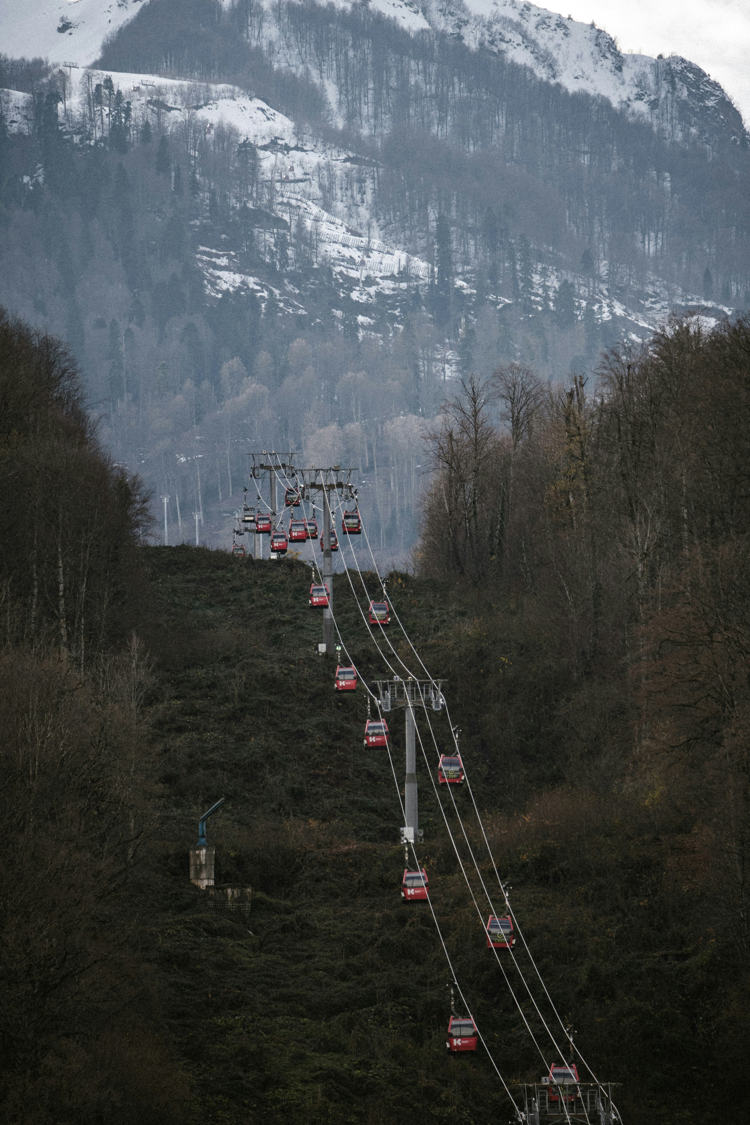 Red Gondolas Winding Through a Snow-Dusted Alpine Forest