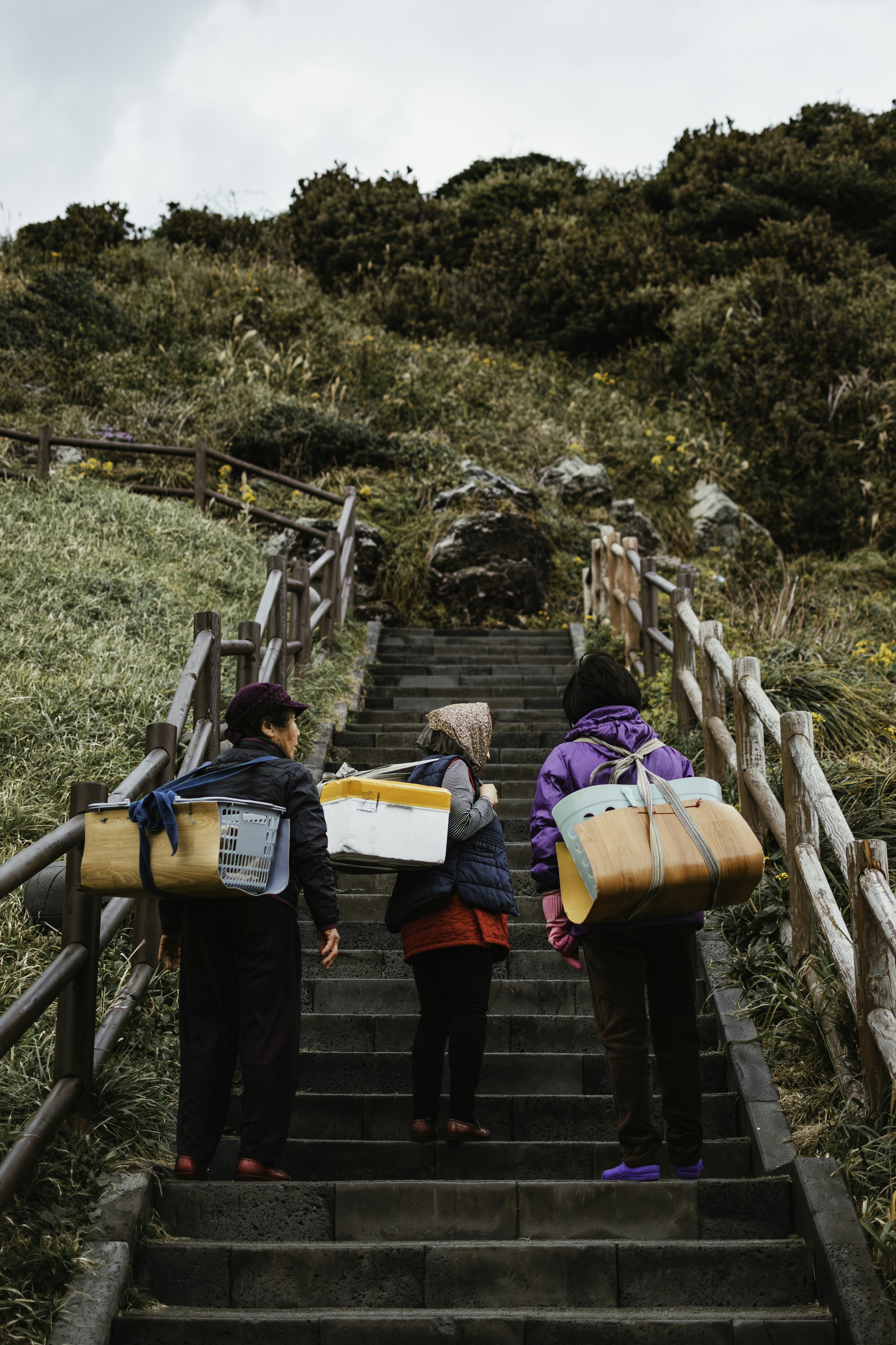 A group of people walking up a flight of stairs photo – Free Jeju-do ...