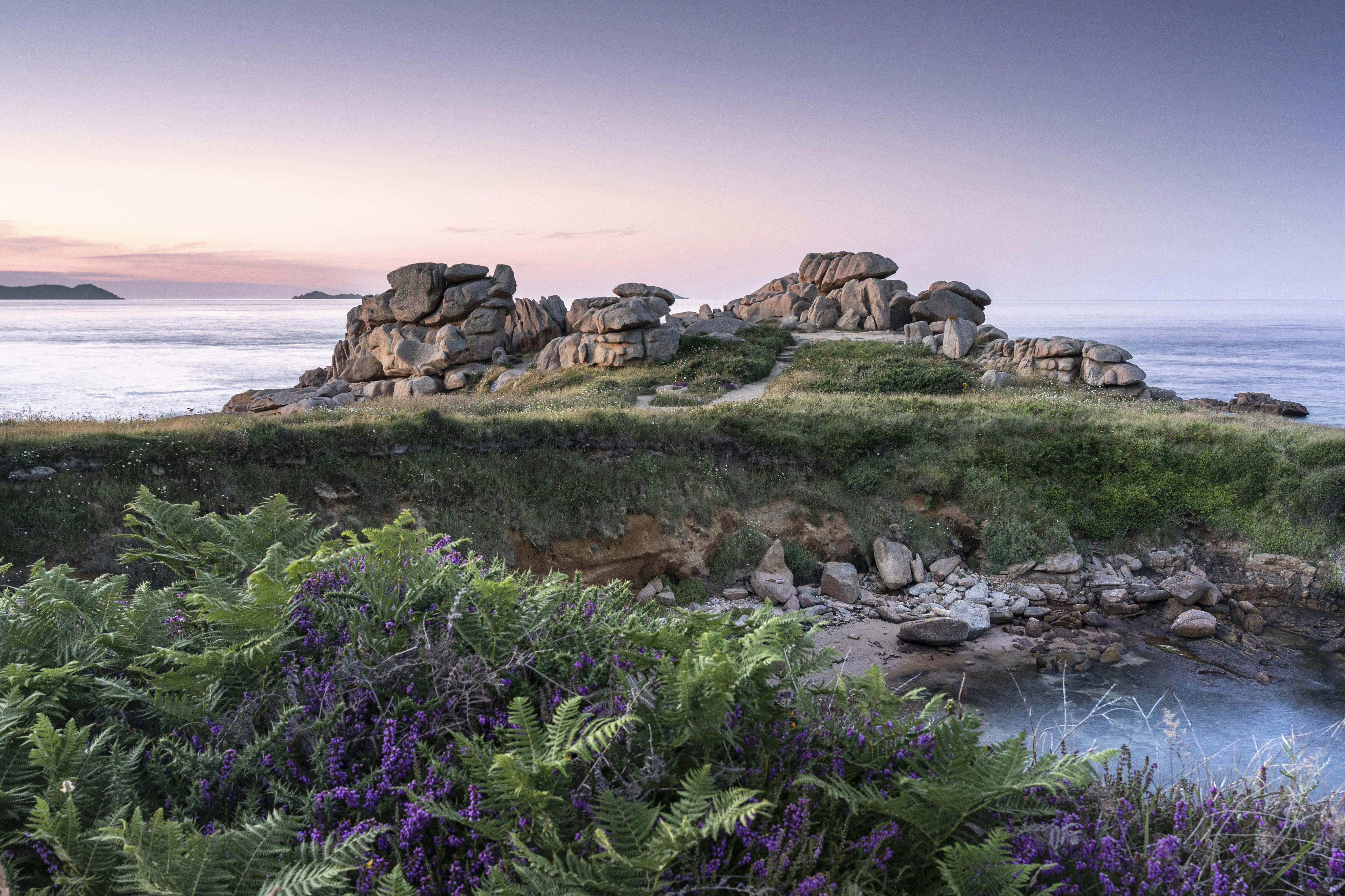 Coastal rocks under a pastel sky with lush green vegetation and purple flowers in the foreground.