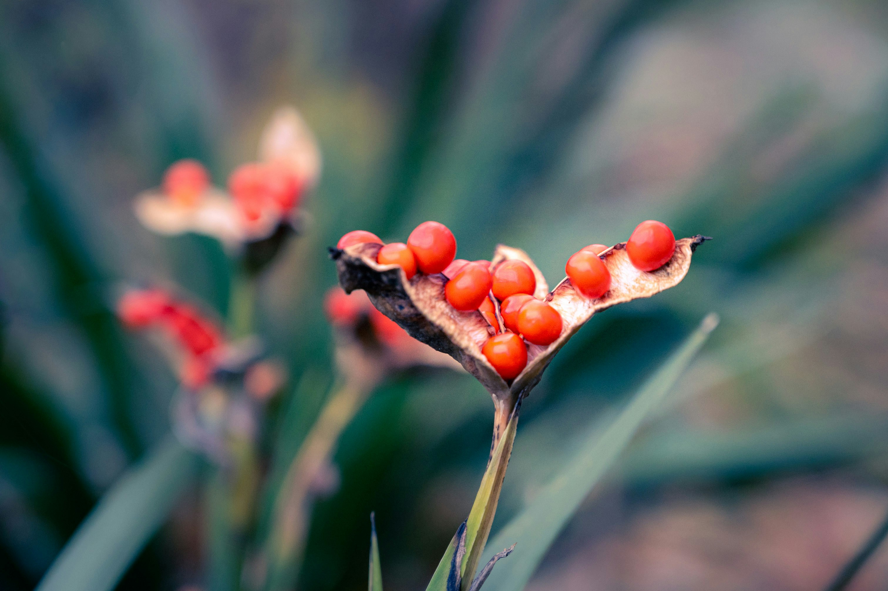 Photo by Oleg Demakov with Nikon Z6