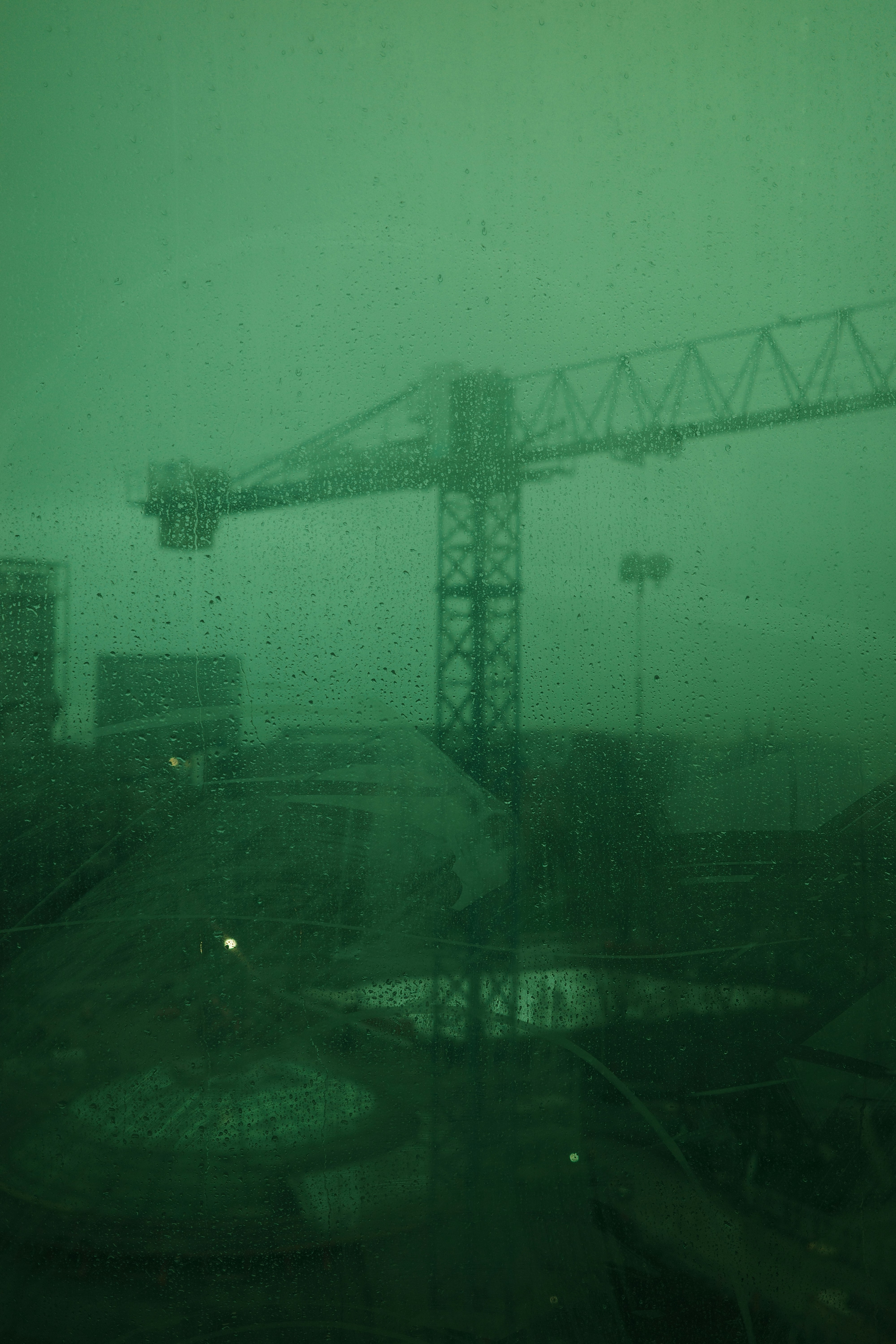 Emerald Rain: Crane Silhouette Beyond Green Glass
