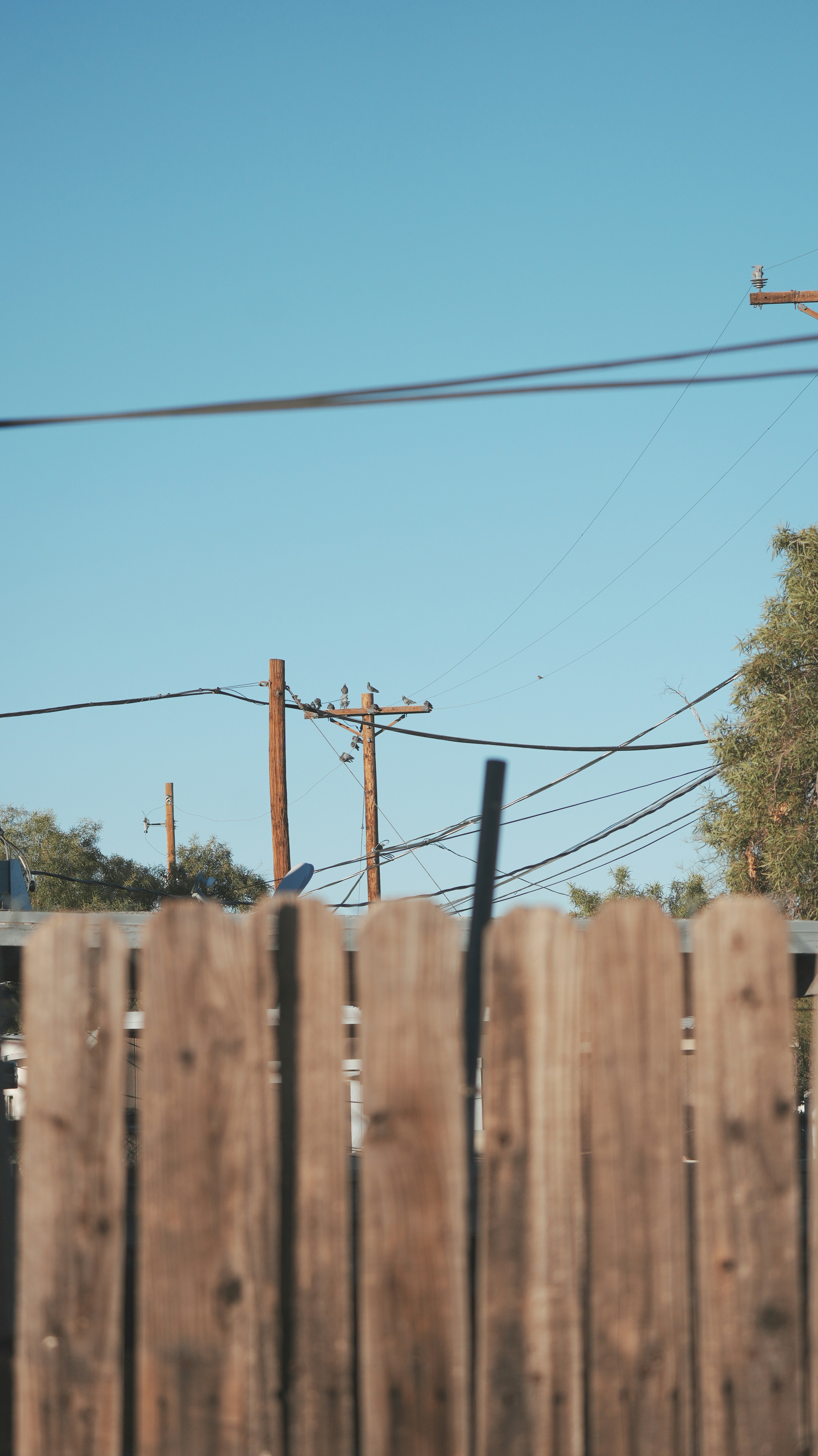 Fence Lines, Sky Above: A Minimalist Study of Post and Wire