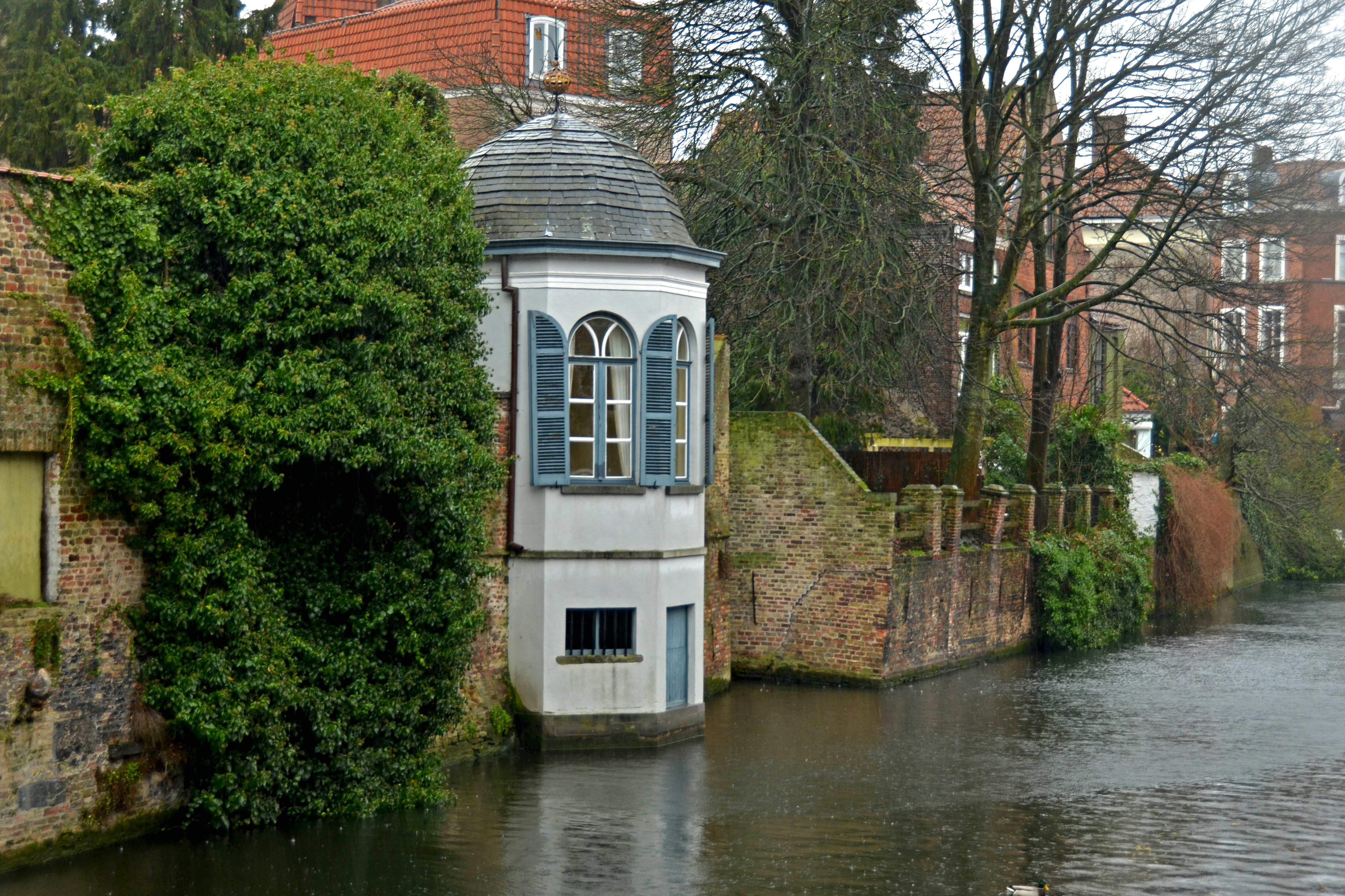 The Canal's Blue-Windowed Turret: A Quiet Brick-and-Leaf Portrait