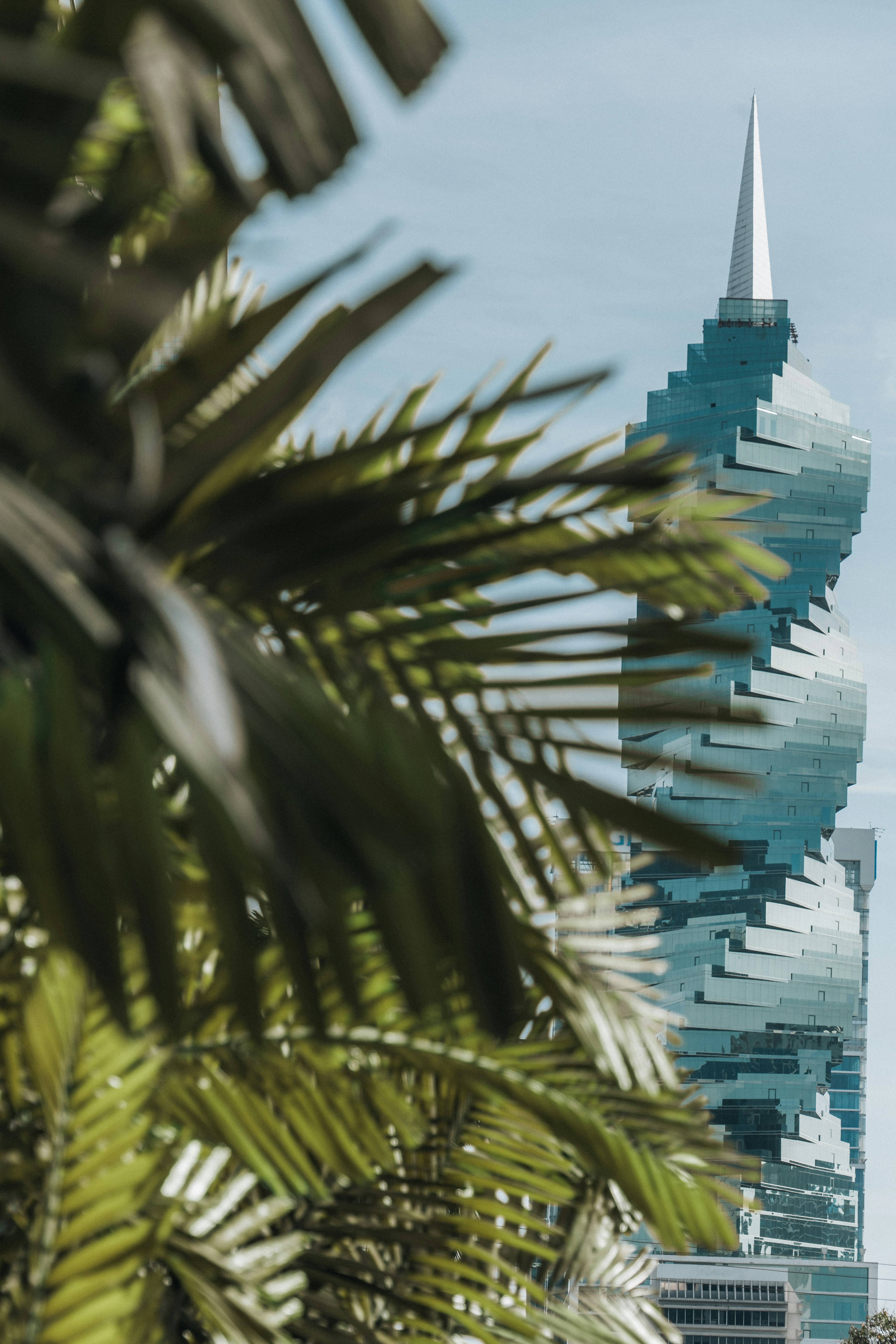 A very tall building towering over a city photo – Free Panamá Image on ...