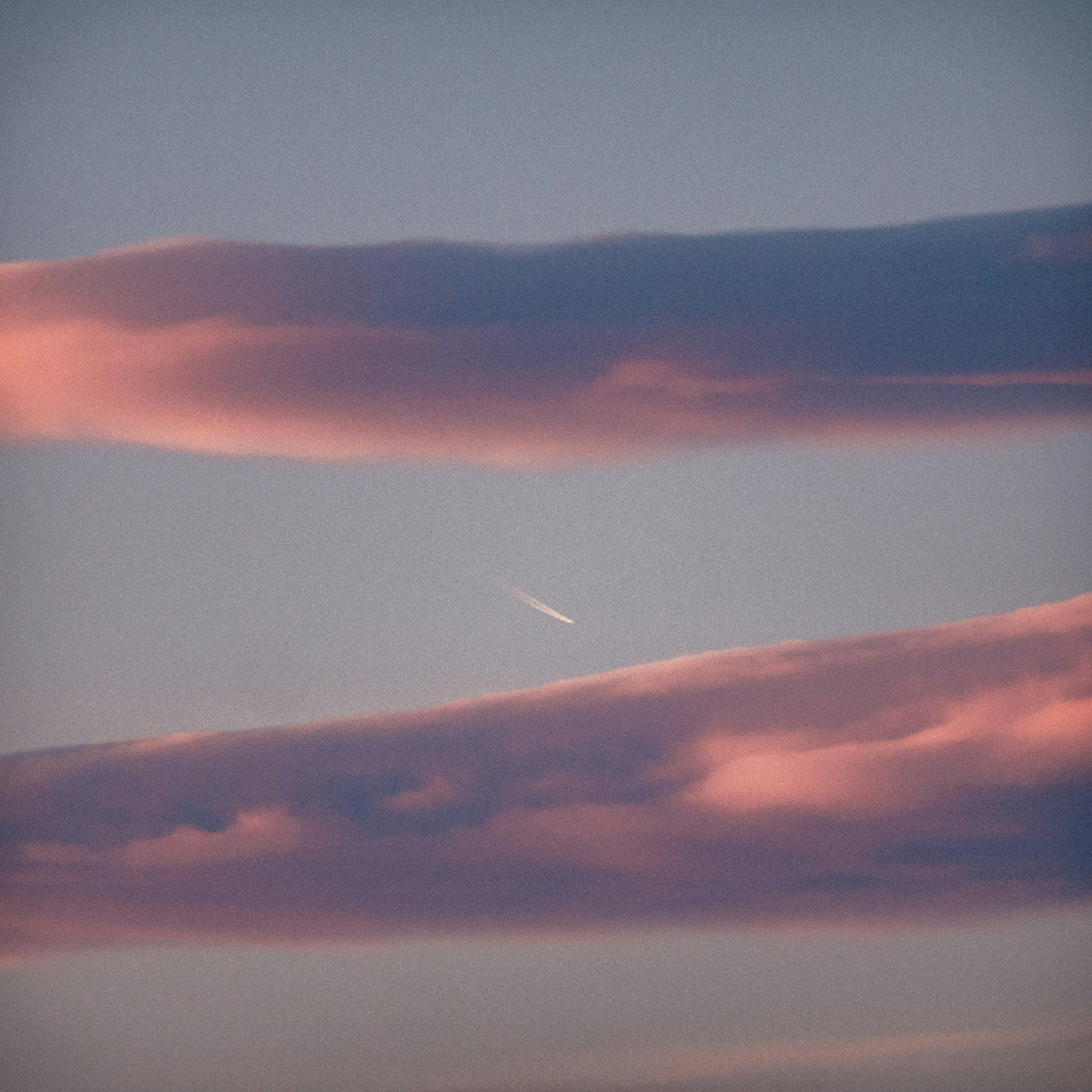 Photo by amirreza momennia with Nikon D7200