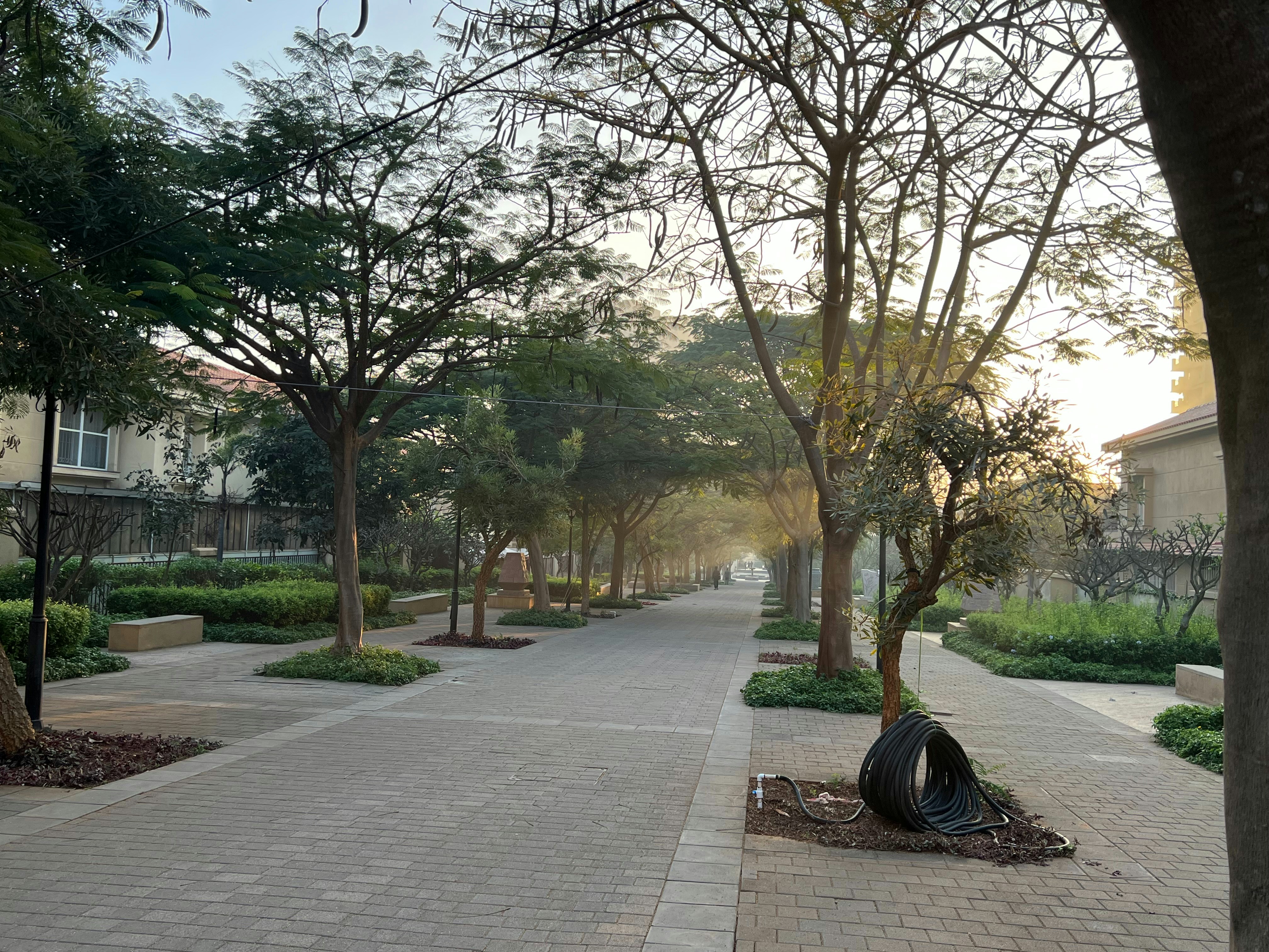 Foto Jalan yang dipenuhi dengan pepohonan dan semak-semak di sebelah ...