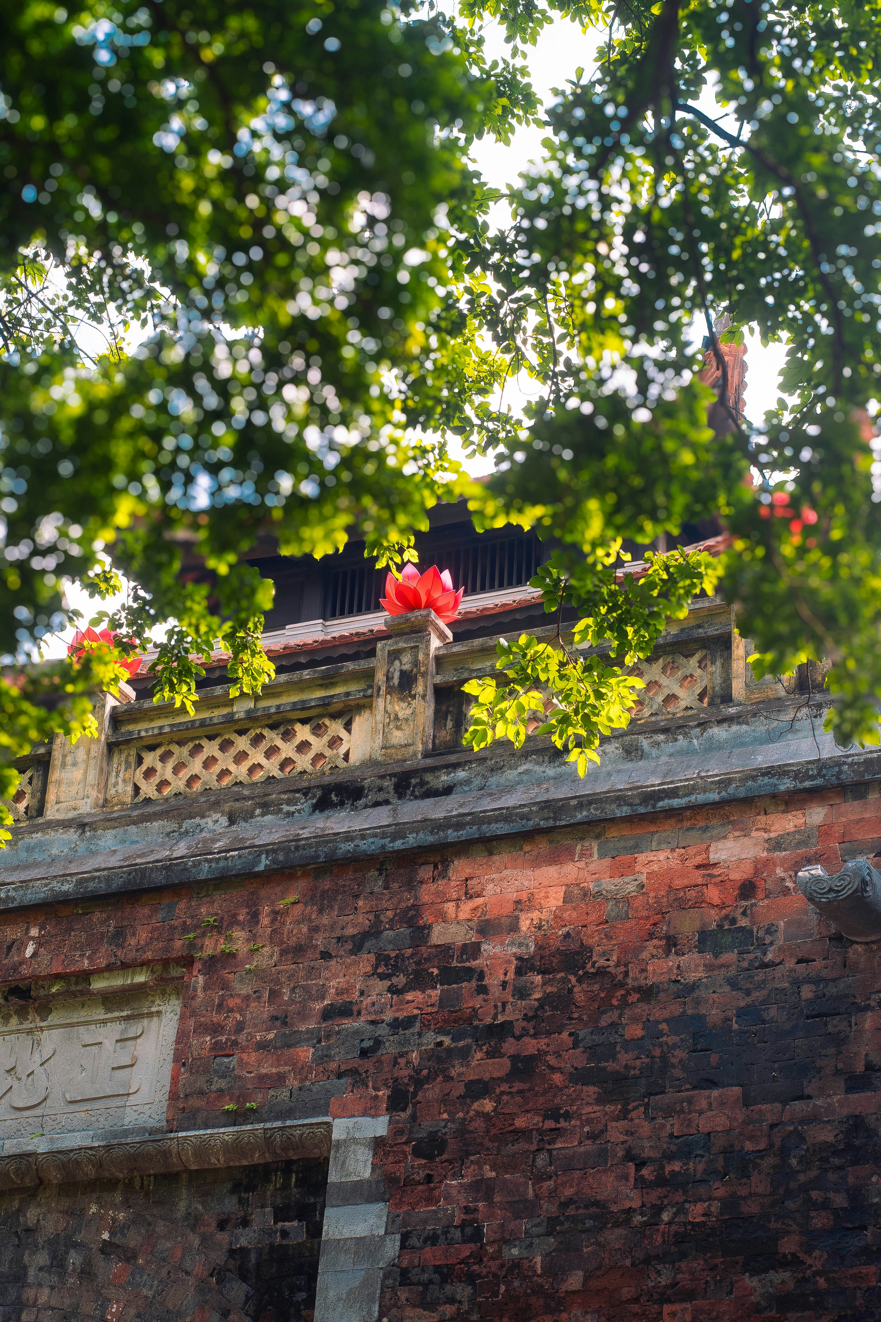 Photo by Baguette Knight with Fujifilm X-T30 II