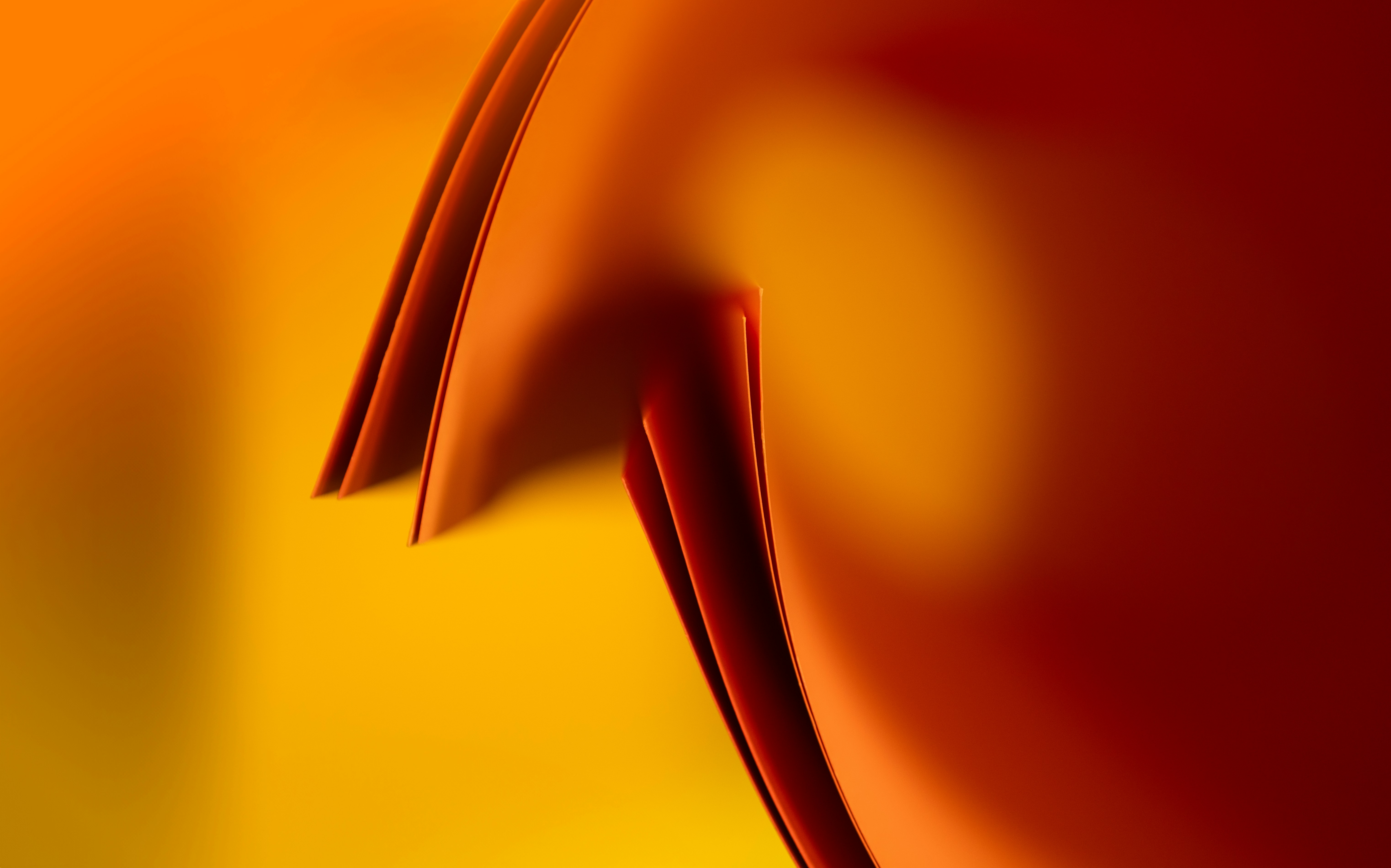 A close up of a red and yellow object photo – Free Colorful background ...