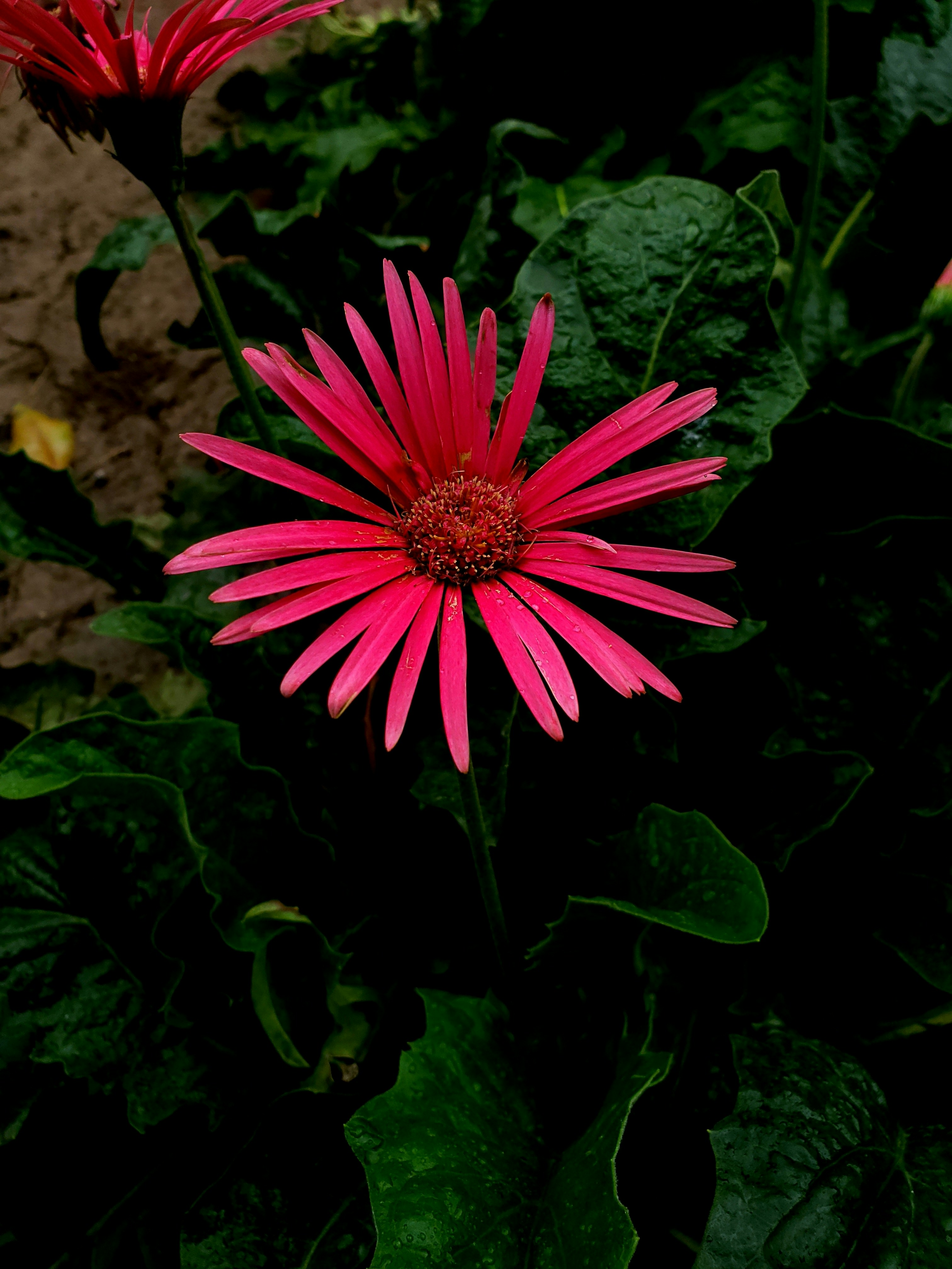 Photo by Aleena Malik with Samsung Galaxy S9 Plus