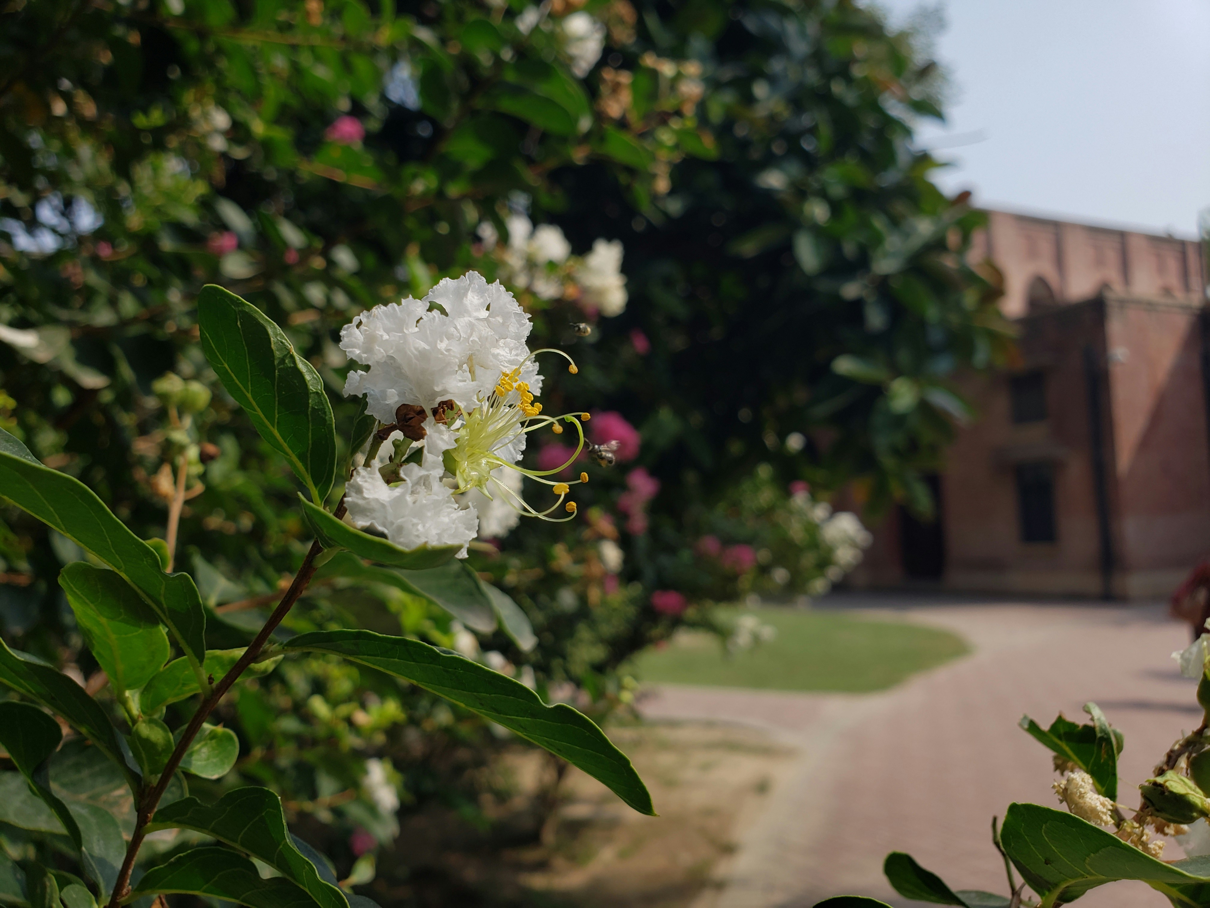 Photo by Aleena Malik with Samsung Galaxy S9 Plus